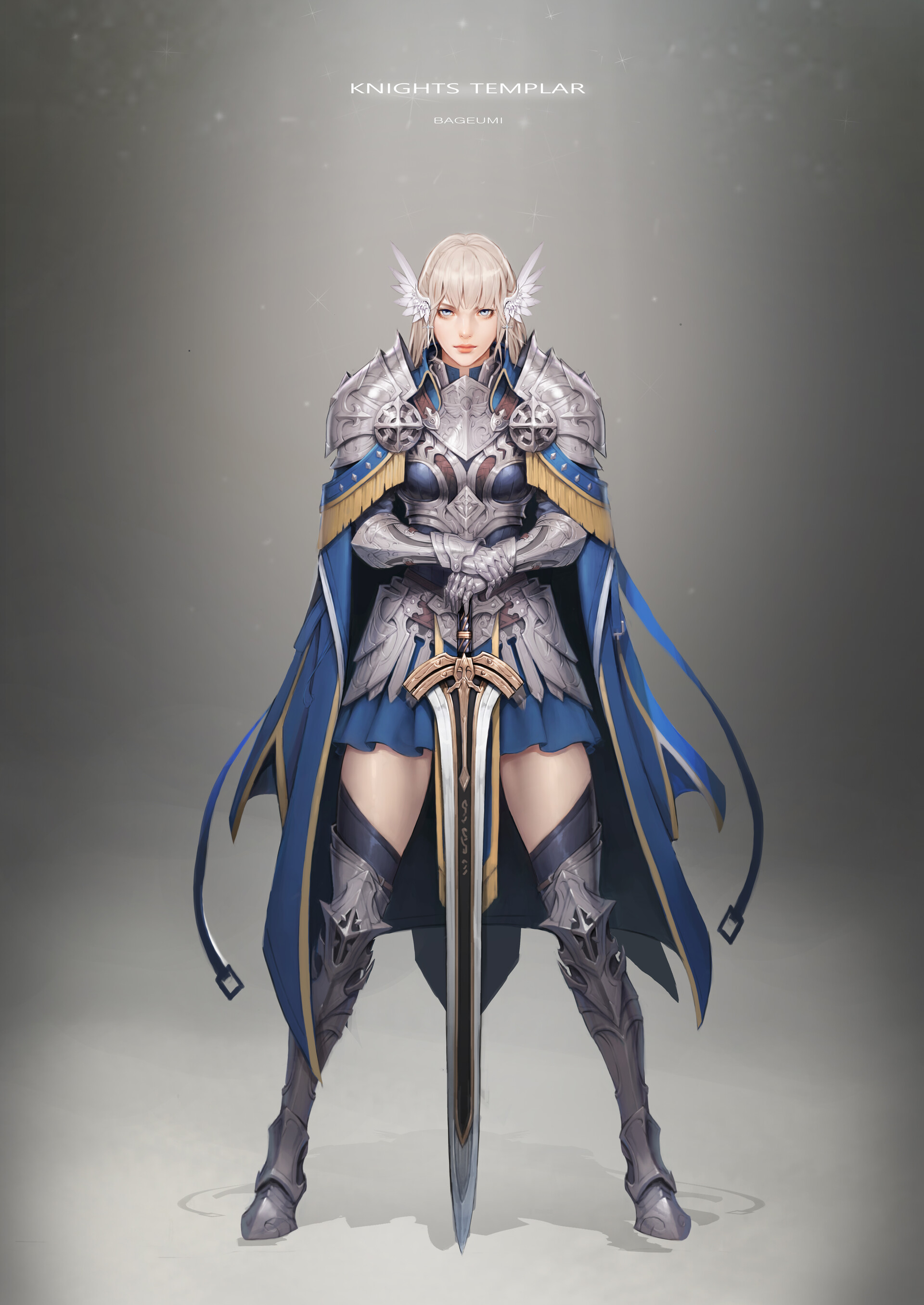 Female Knights Templar Wallpaper