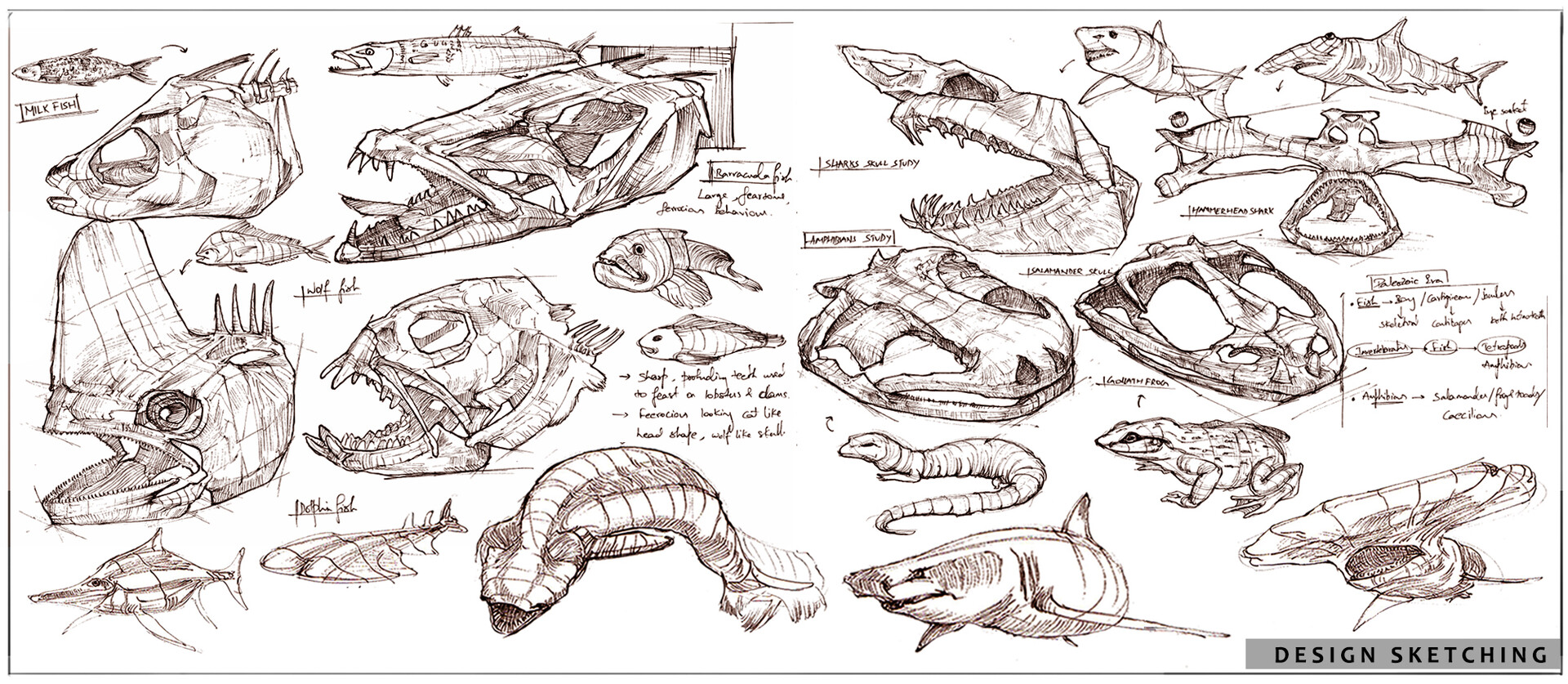 ArtStation - Analytical Sketching