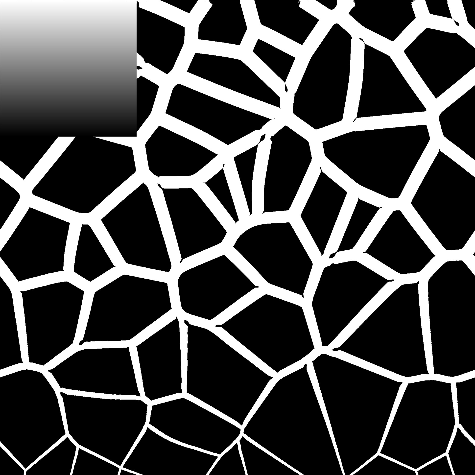 Clark Coots - Varied Edge Detect Quick TipS