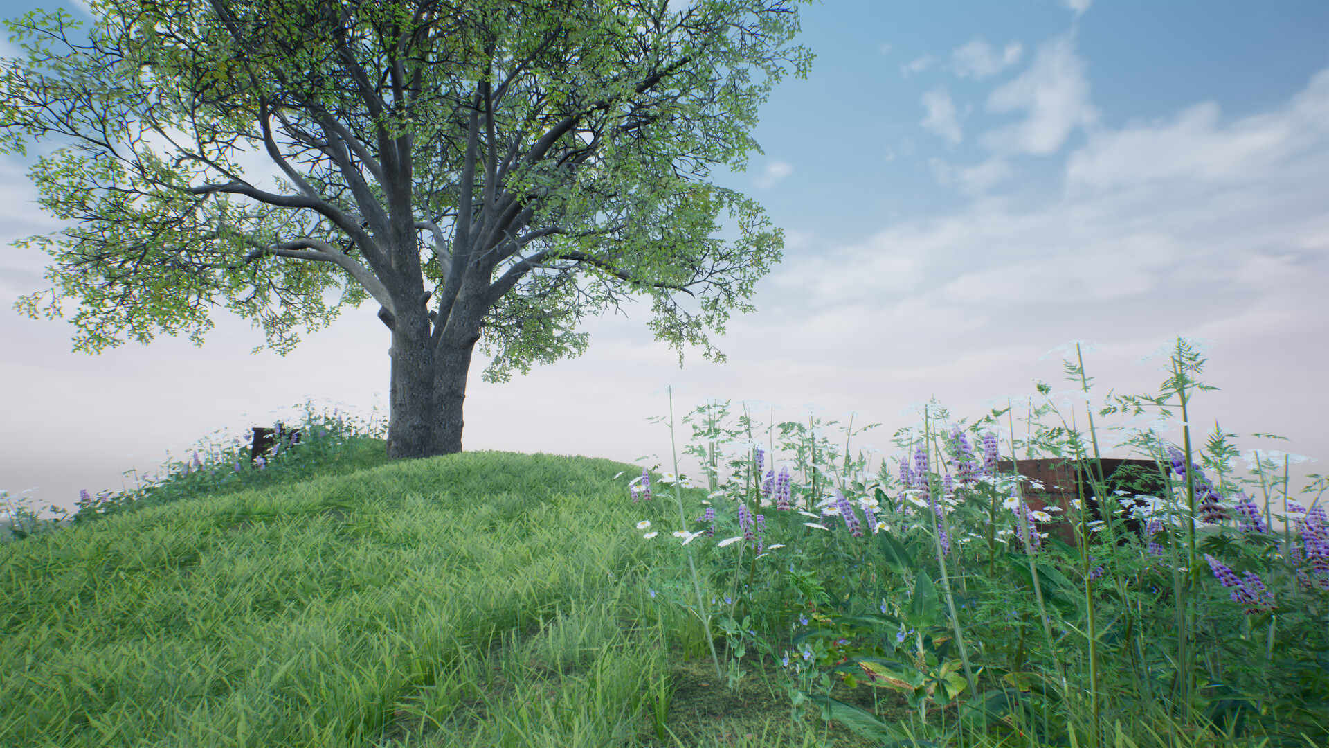 Chris Hendrickson - The Shire