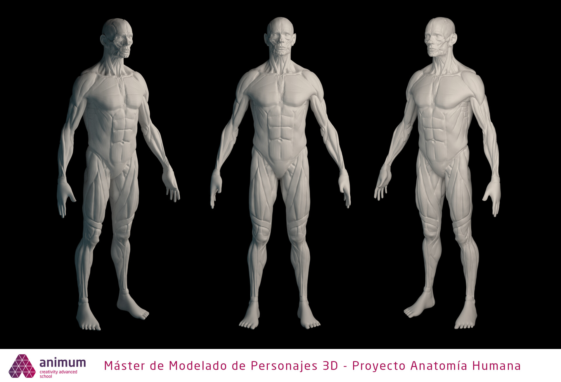 ArtStation - Anatomy Study - Ecorché