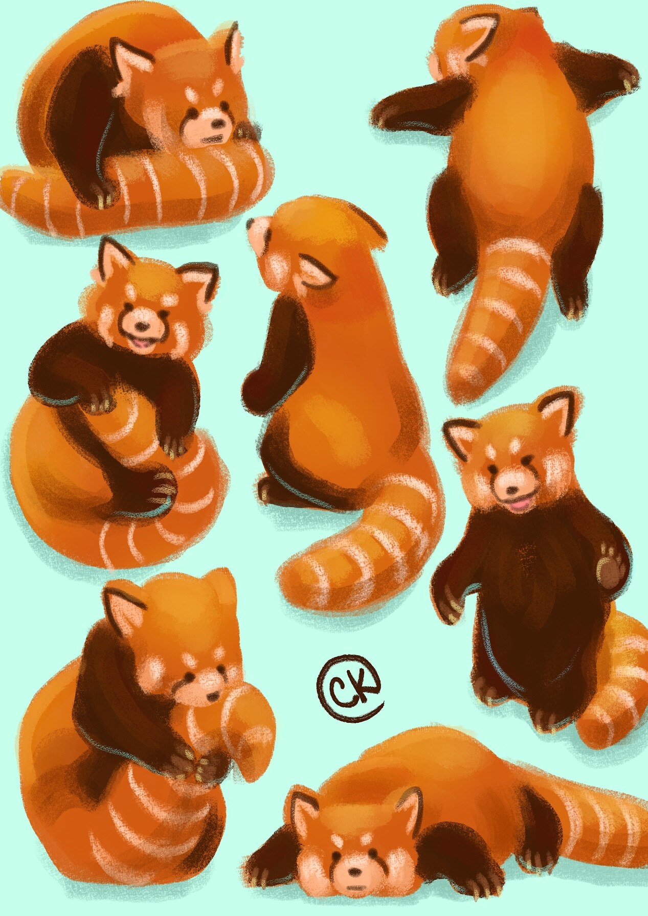 ArtStation - Red Panda Study