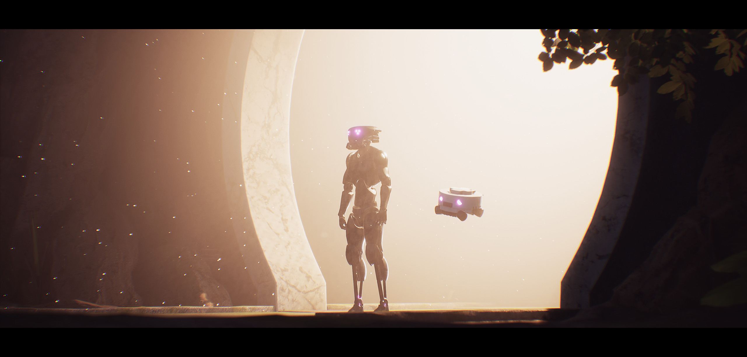 Dominique Buttiens - Composition and Light Study