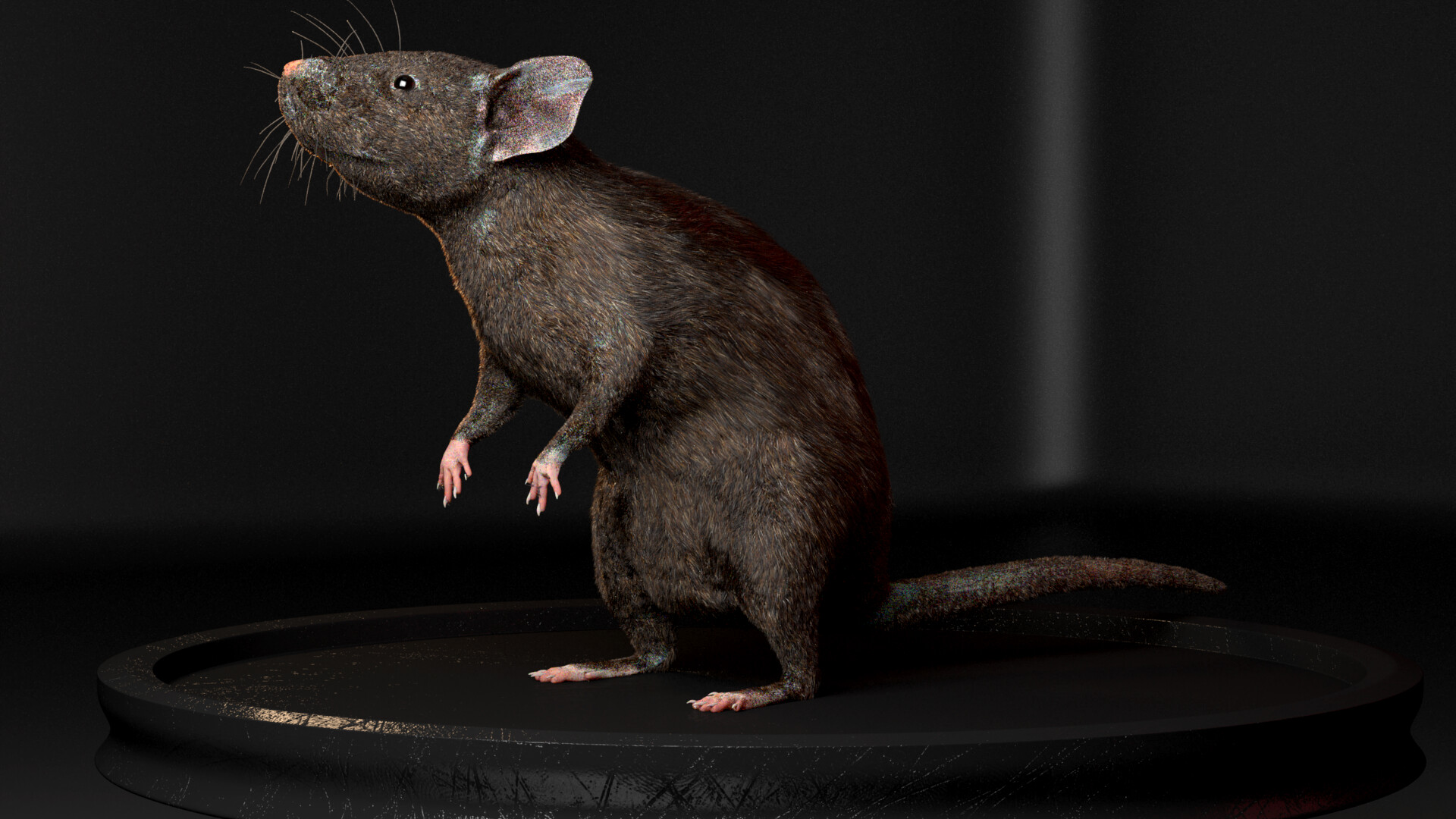 Sylvain VERMESSE - Rat-Render project
