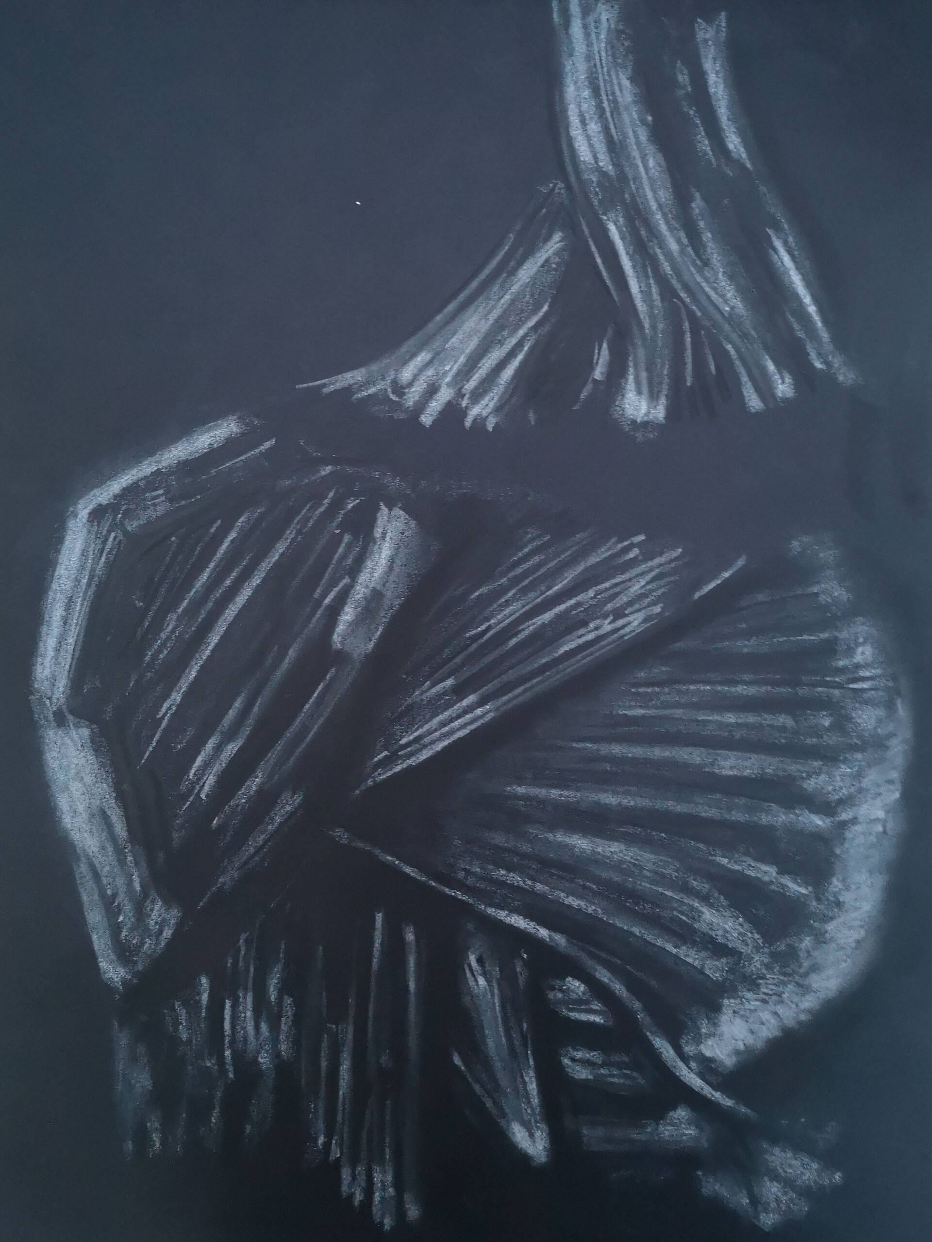 ArtStation - Shoulder Muscle.