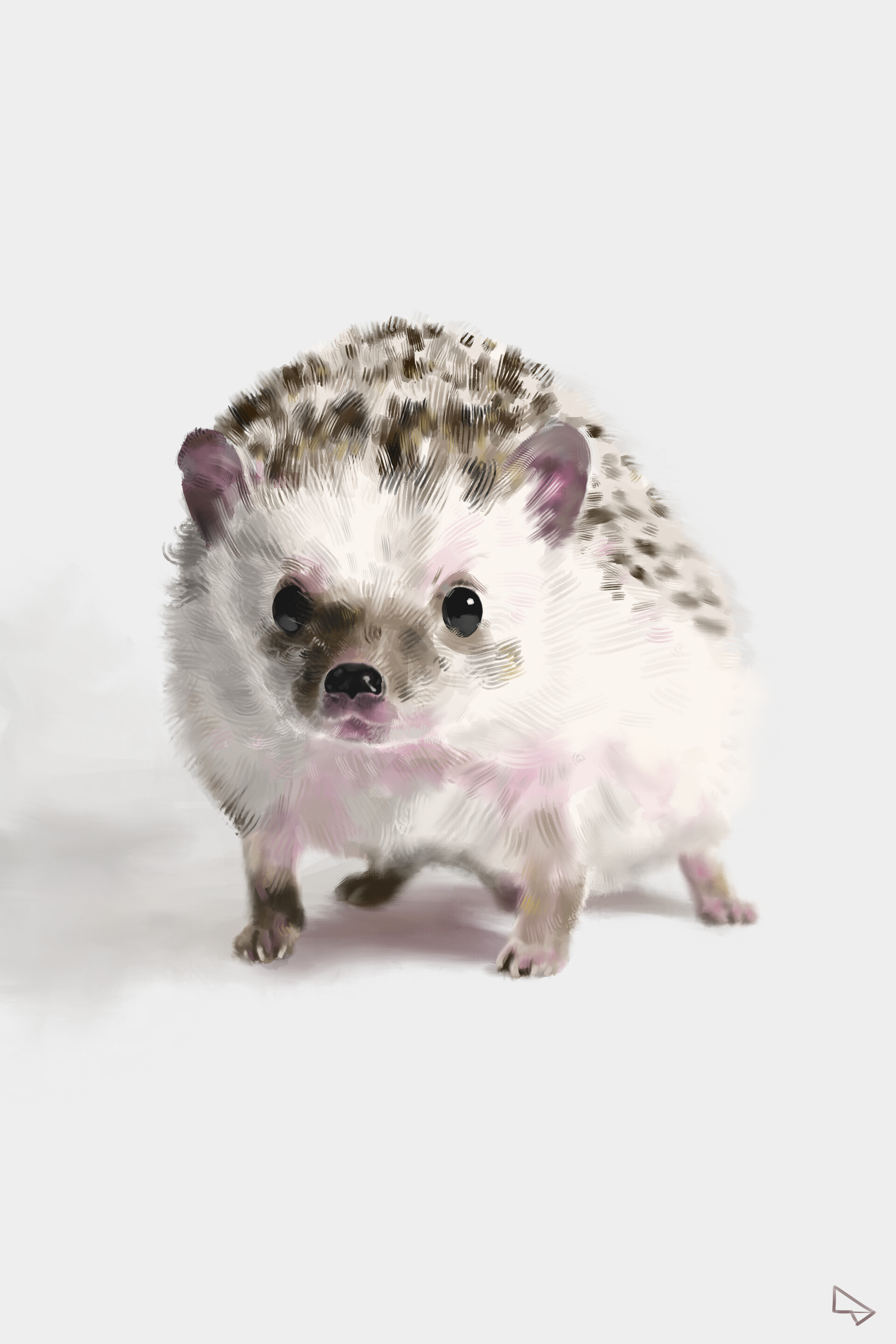 ArtStation - Hedgehog Study