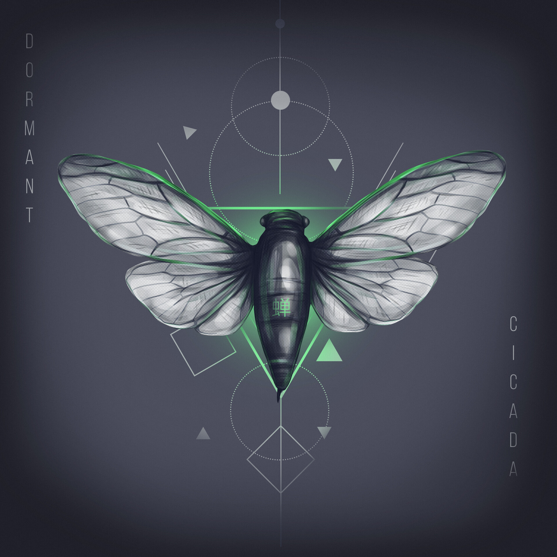 Cicada Art
