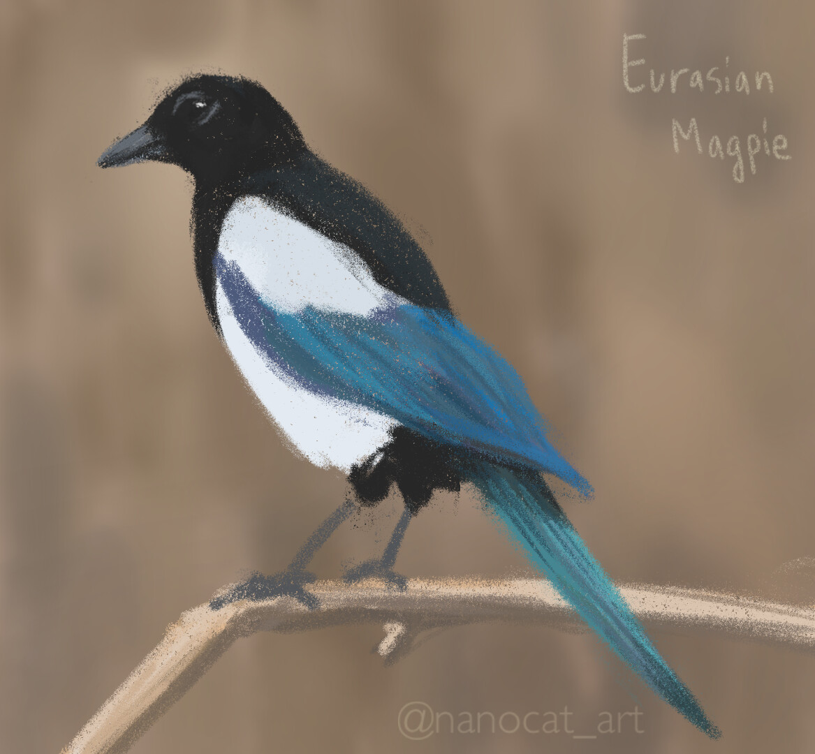 ArtStation - Magpie