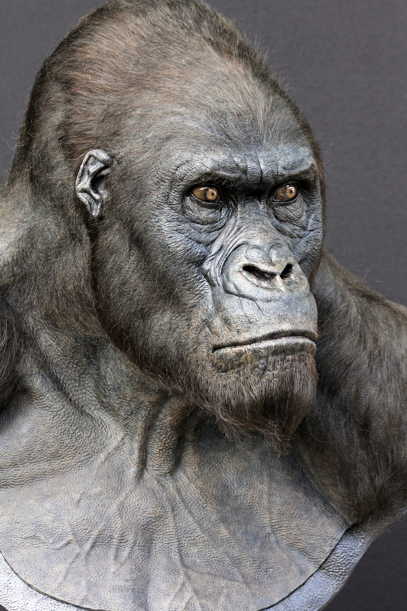 ArtStation - The Legend of Tarzan, 2014/ Akut Life Size Display Bust