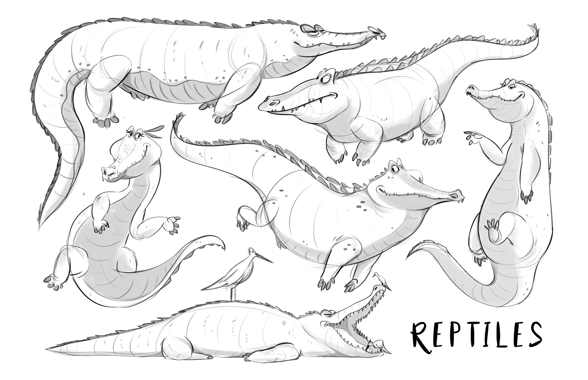 crocodile pose drawing