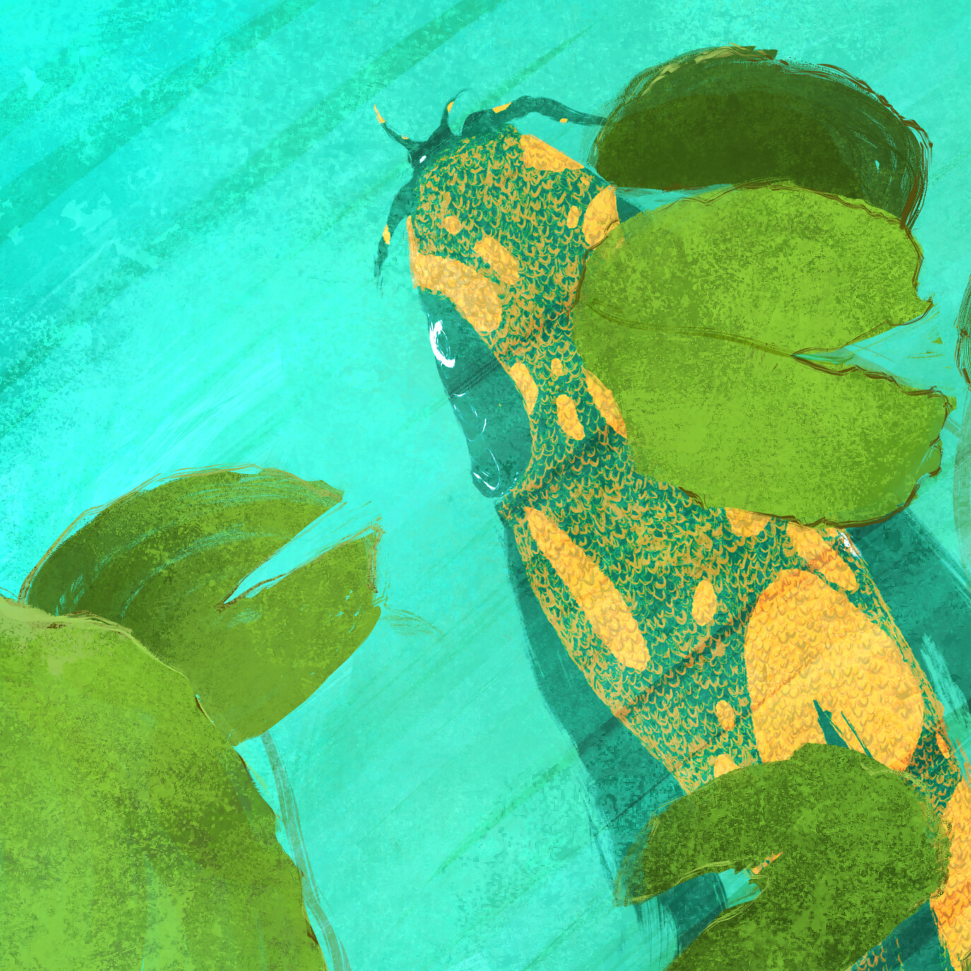 Jason Marsh - Don't Be Koi