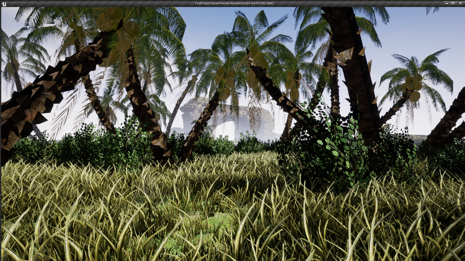 Fulvio Fulvi - Office and Island