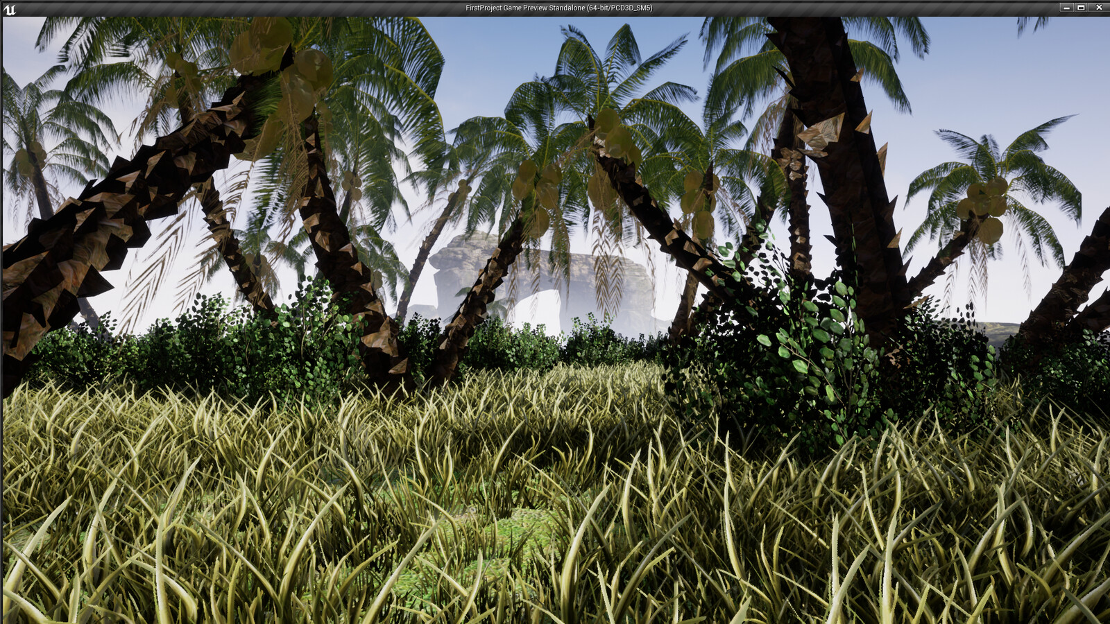 Fulvio Fulvi - Office and Island