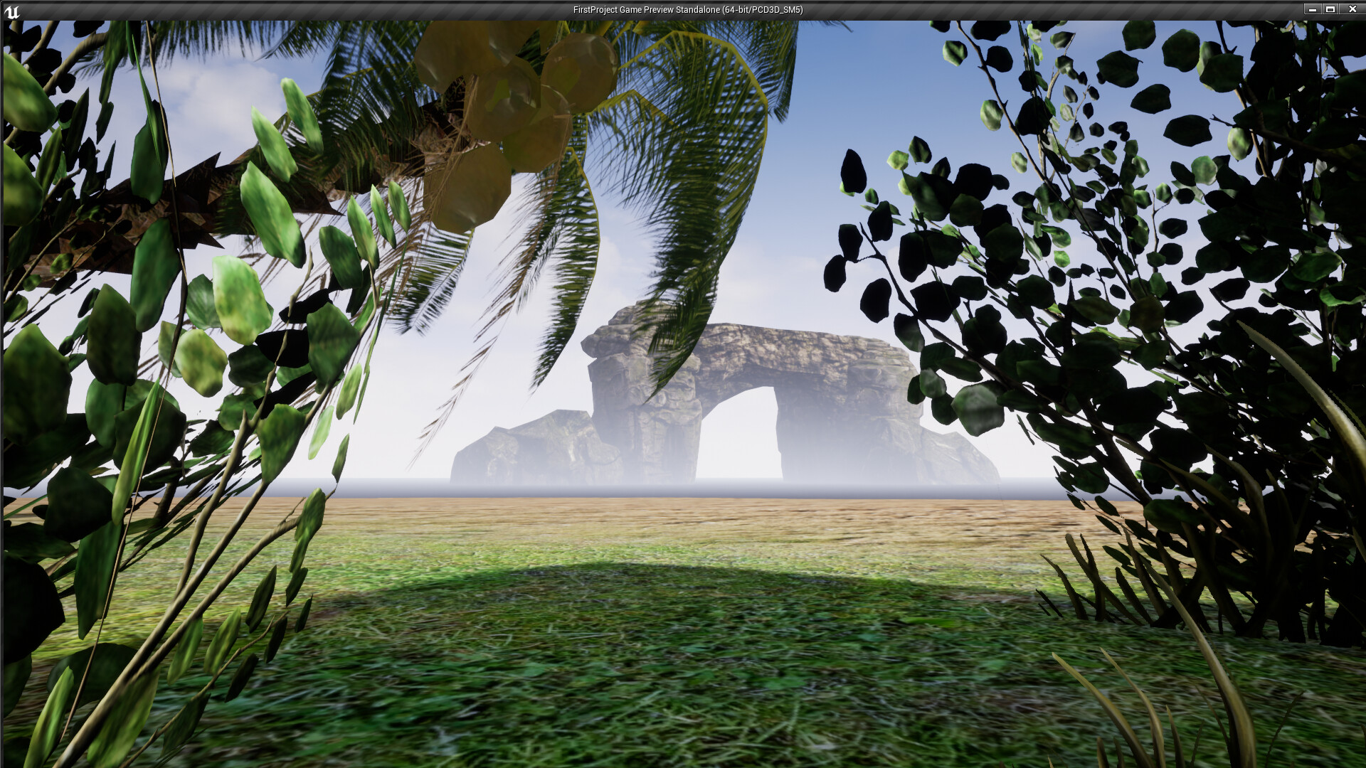 Fulvio Fulvi - Office and Island