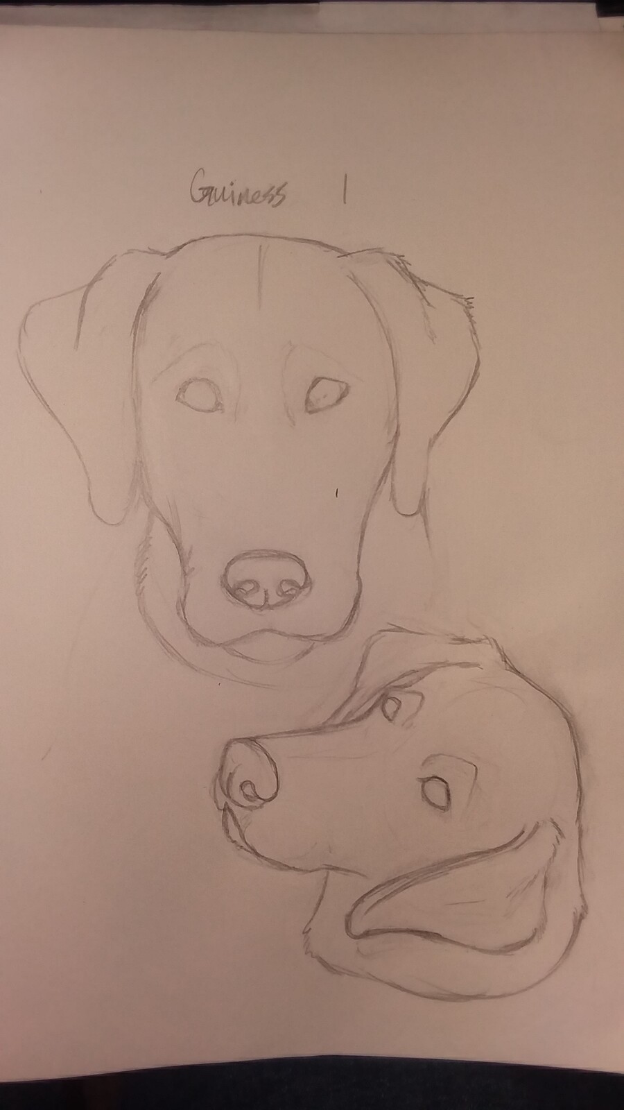 Anna Calhoun - Guinness