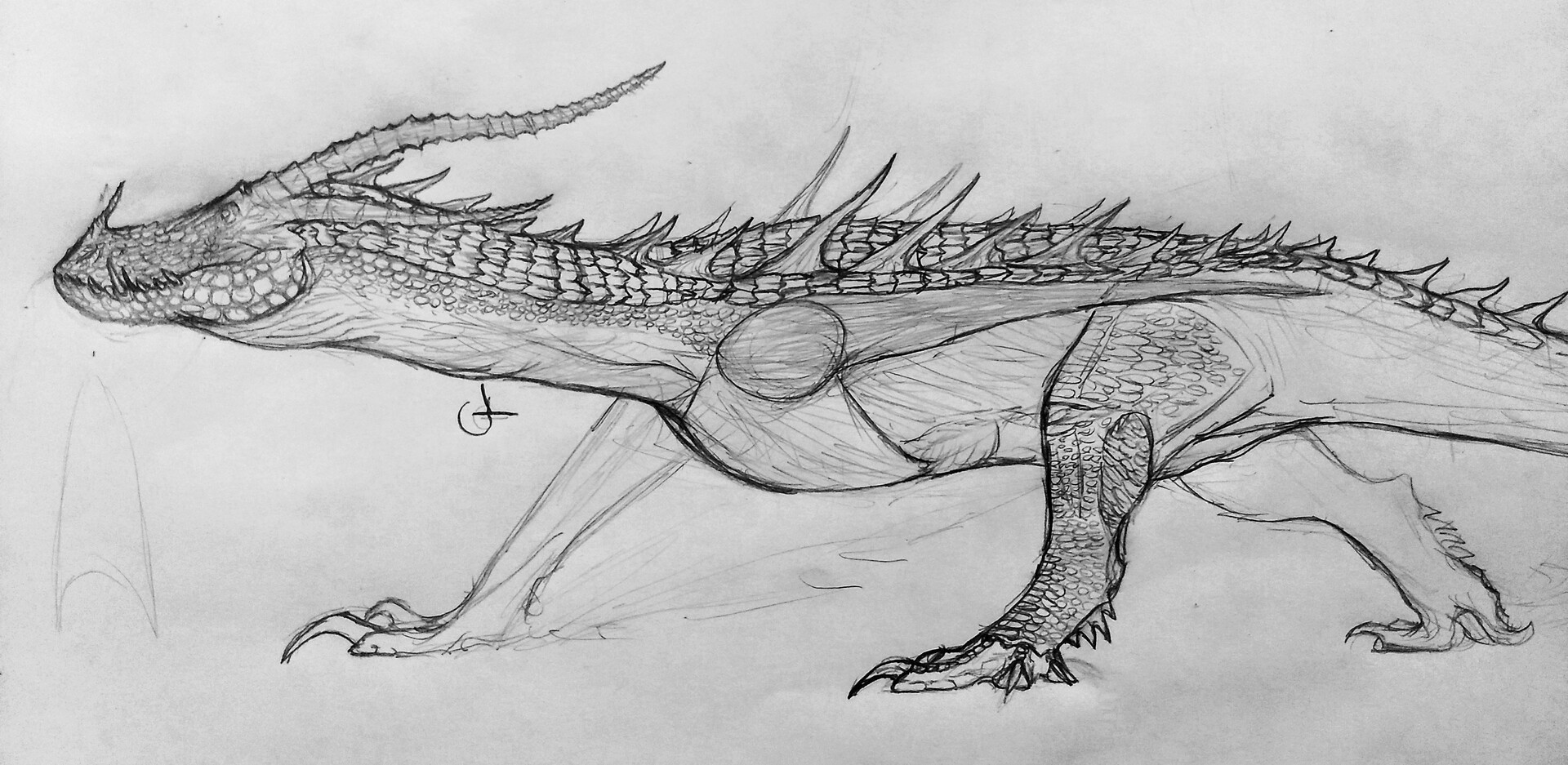 How To Train Your Dragon Monstrous Nightmare Drawings