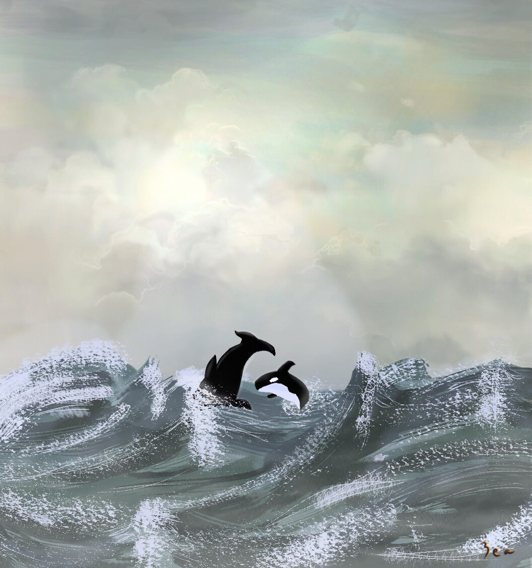 Orcas breaching in rough seas : r/thalassophobia