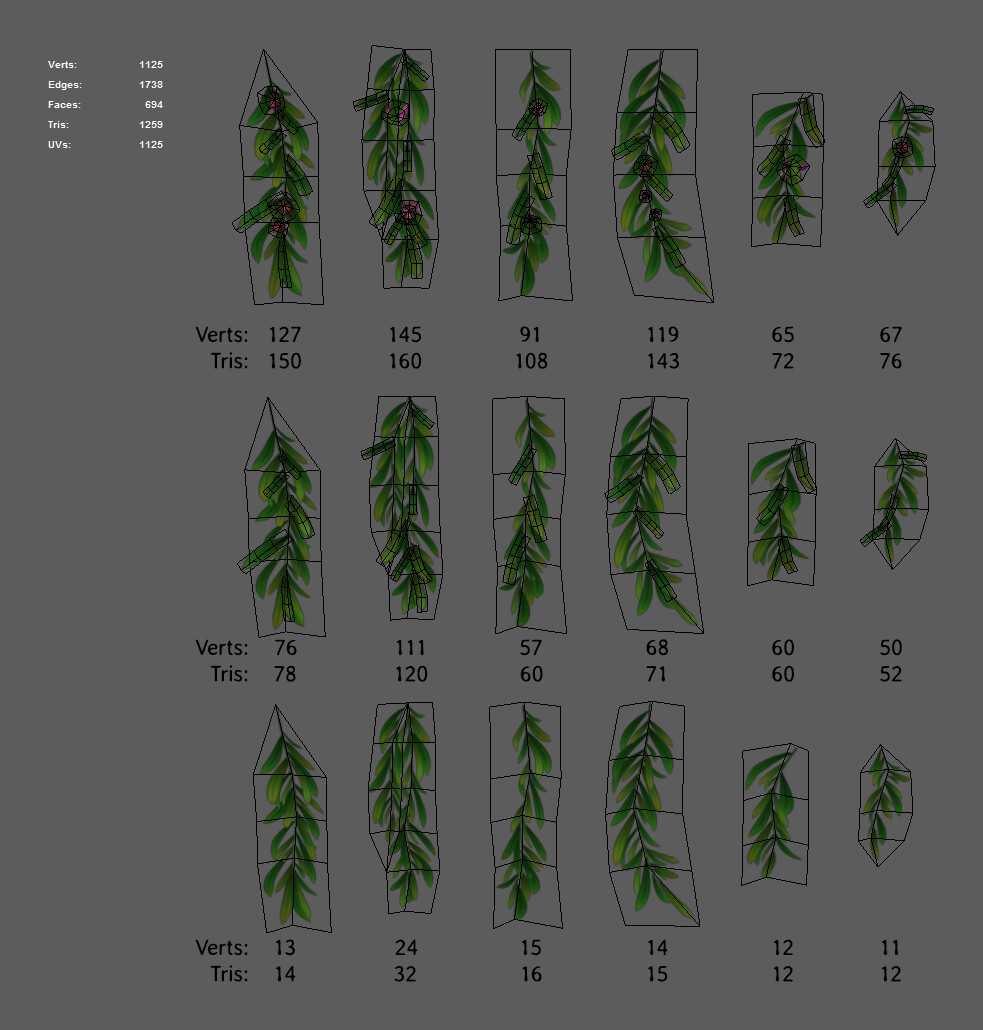CGD - Foliage - Breakdown