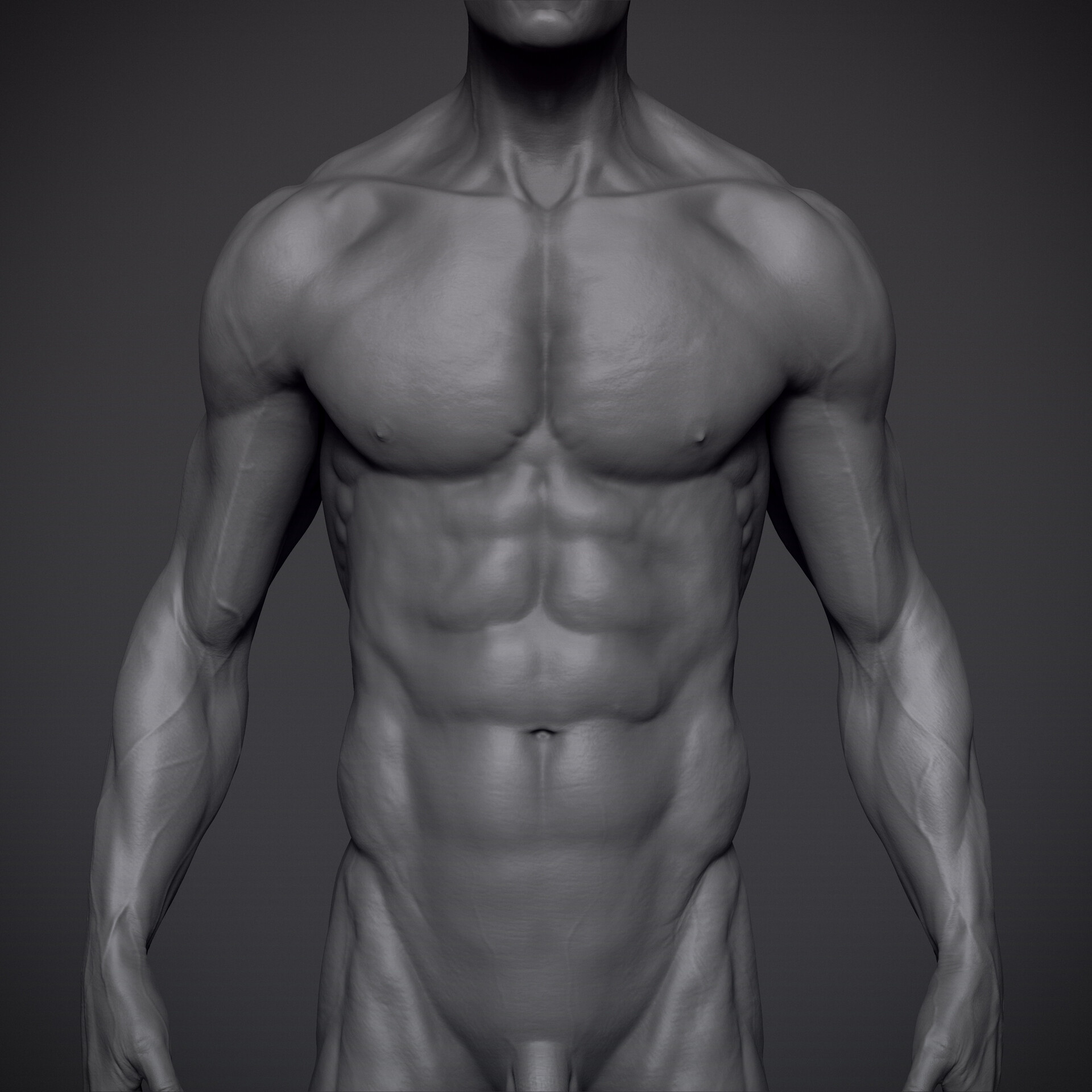 ArtStation - Anatomy Study - Male