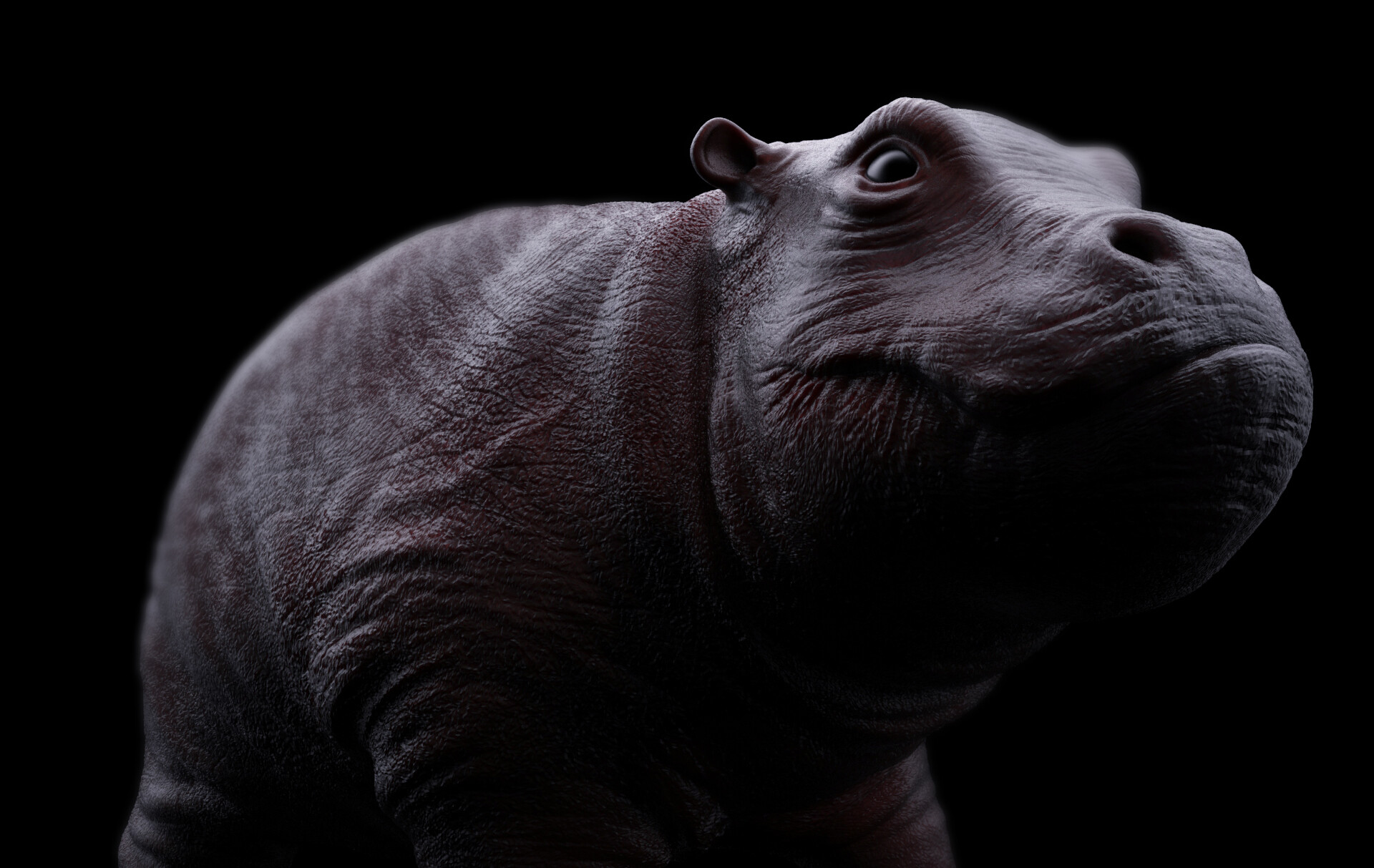 ArtStation - Little Hippo