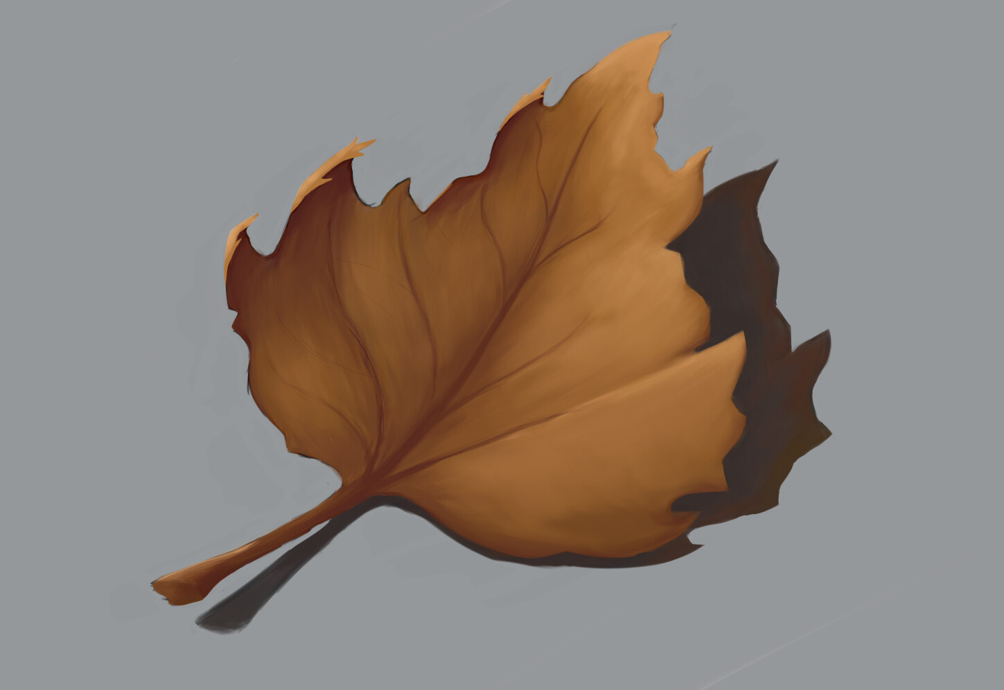 Gael López - Leaf