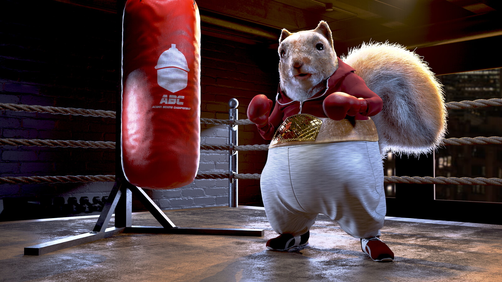jeremie Guy-Beland - Rongeur Boxeur / Boxing Squirrel