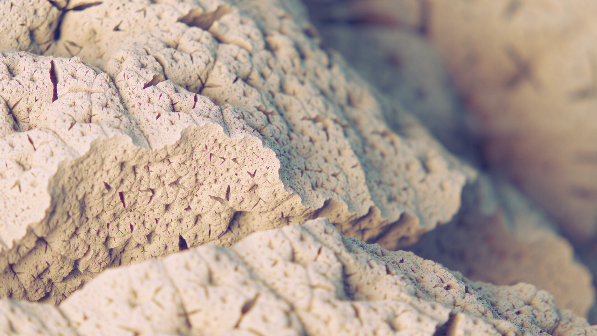 ArtStation - Fractal Renderings