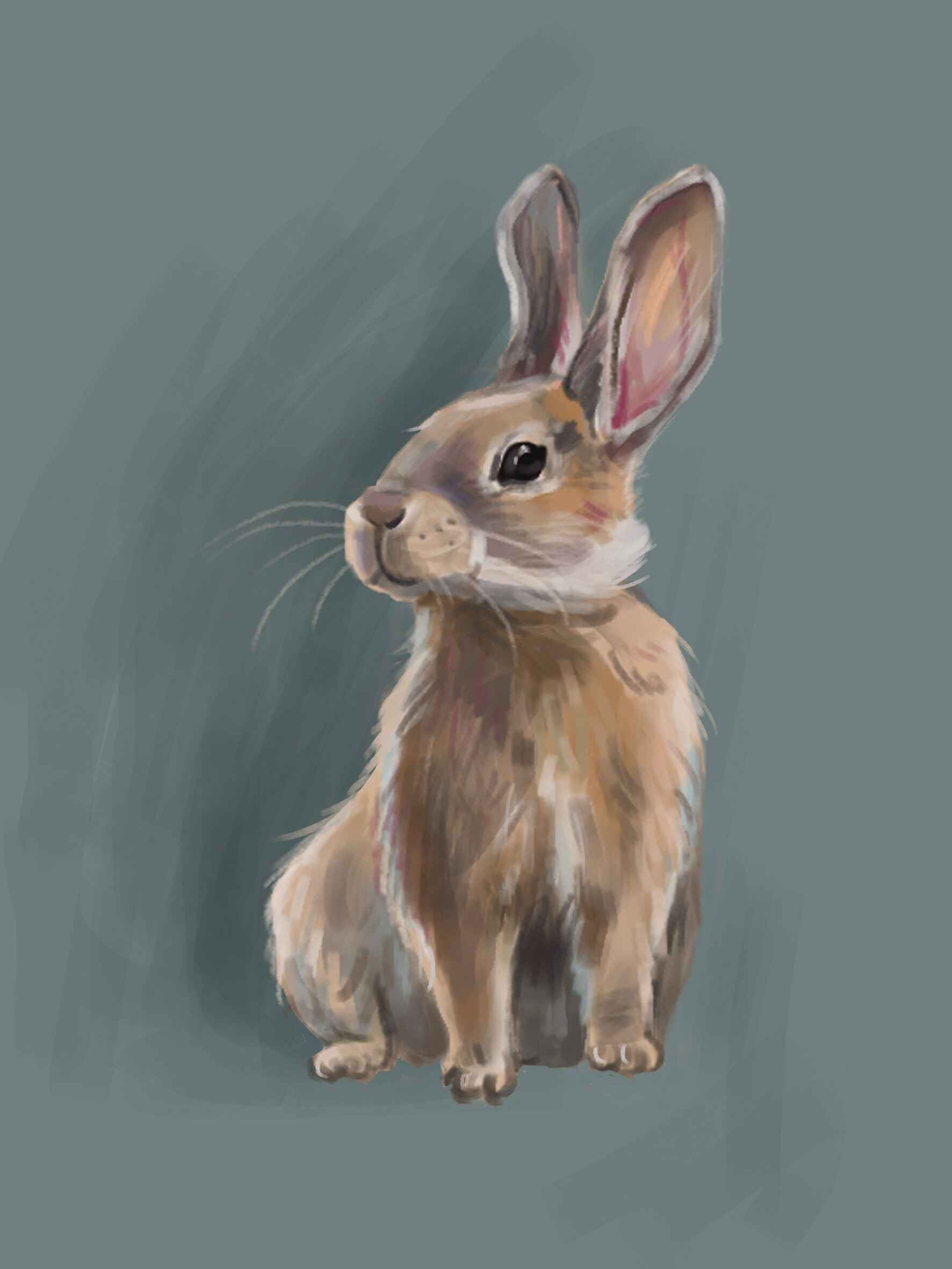 ArtStation - Quick animal sketch