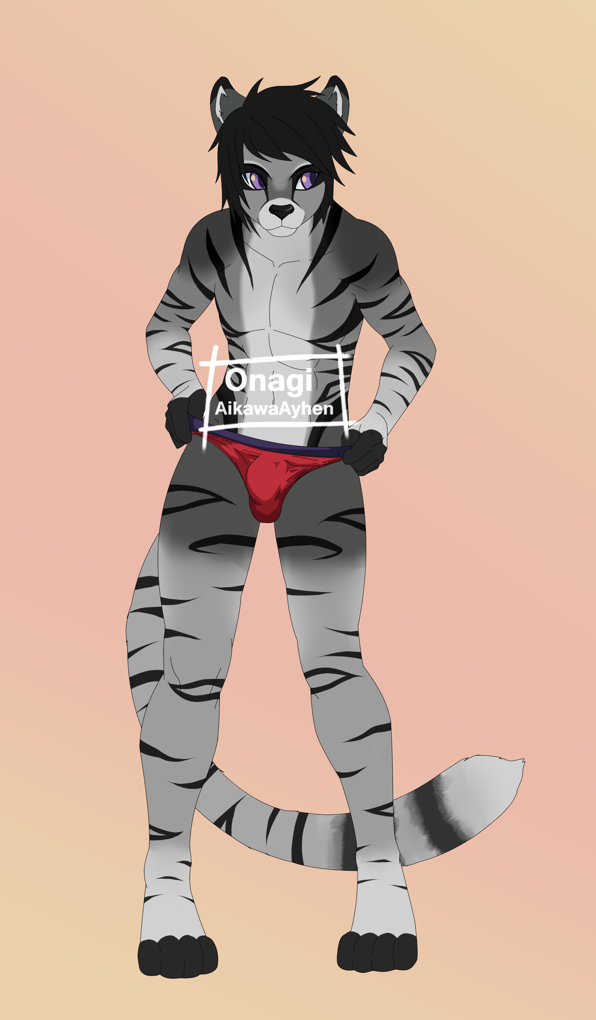 Jay Onagi - Furry Character Commission