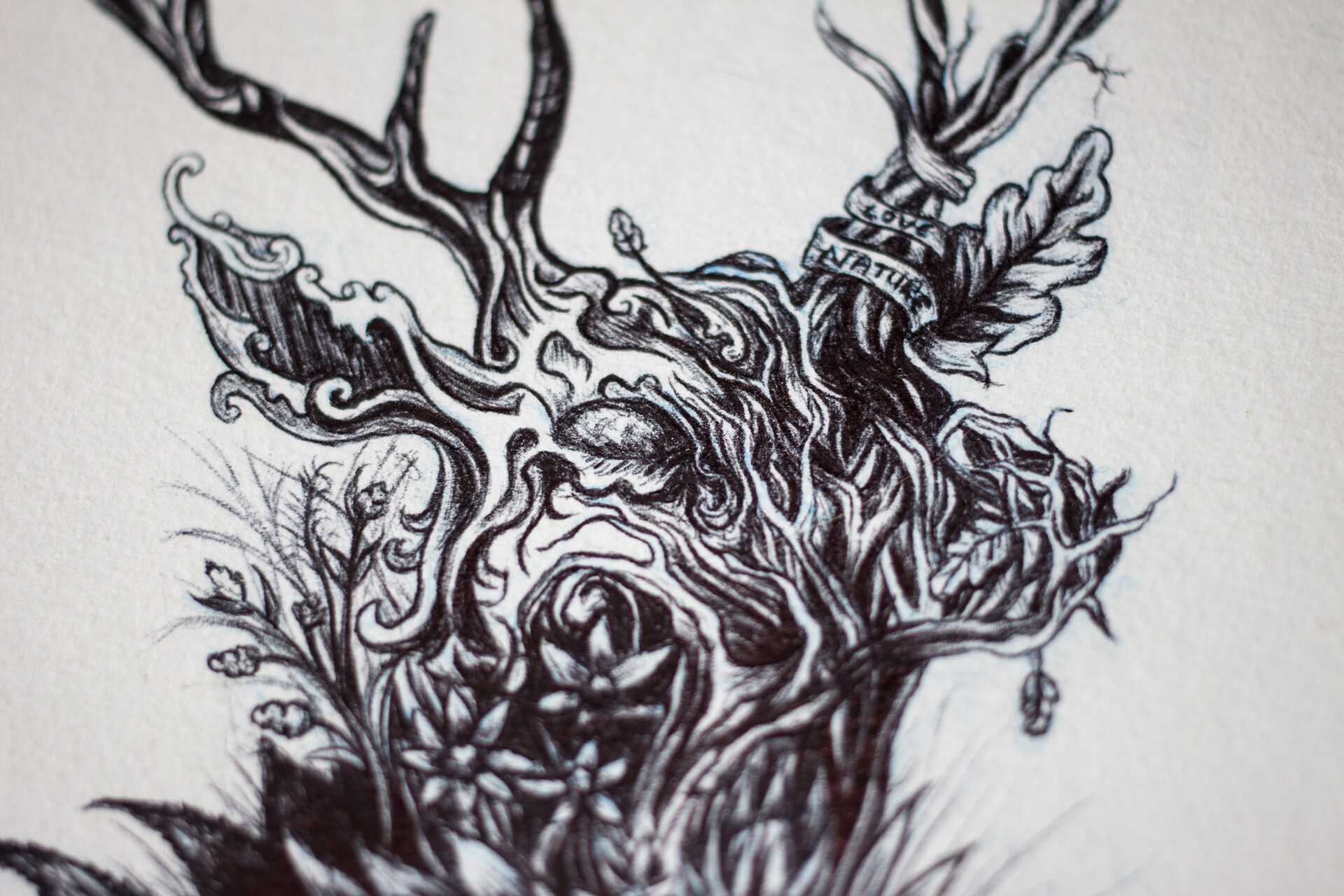 jason slabber - Stag