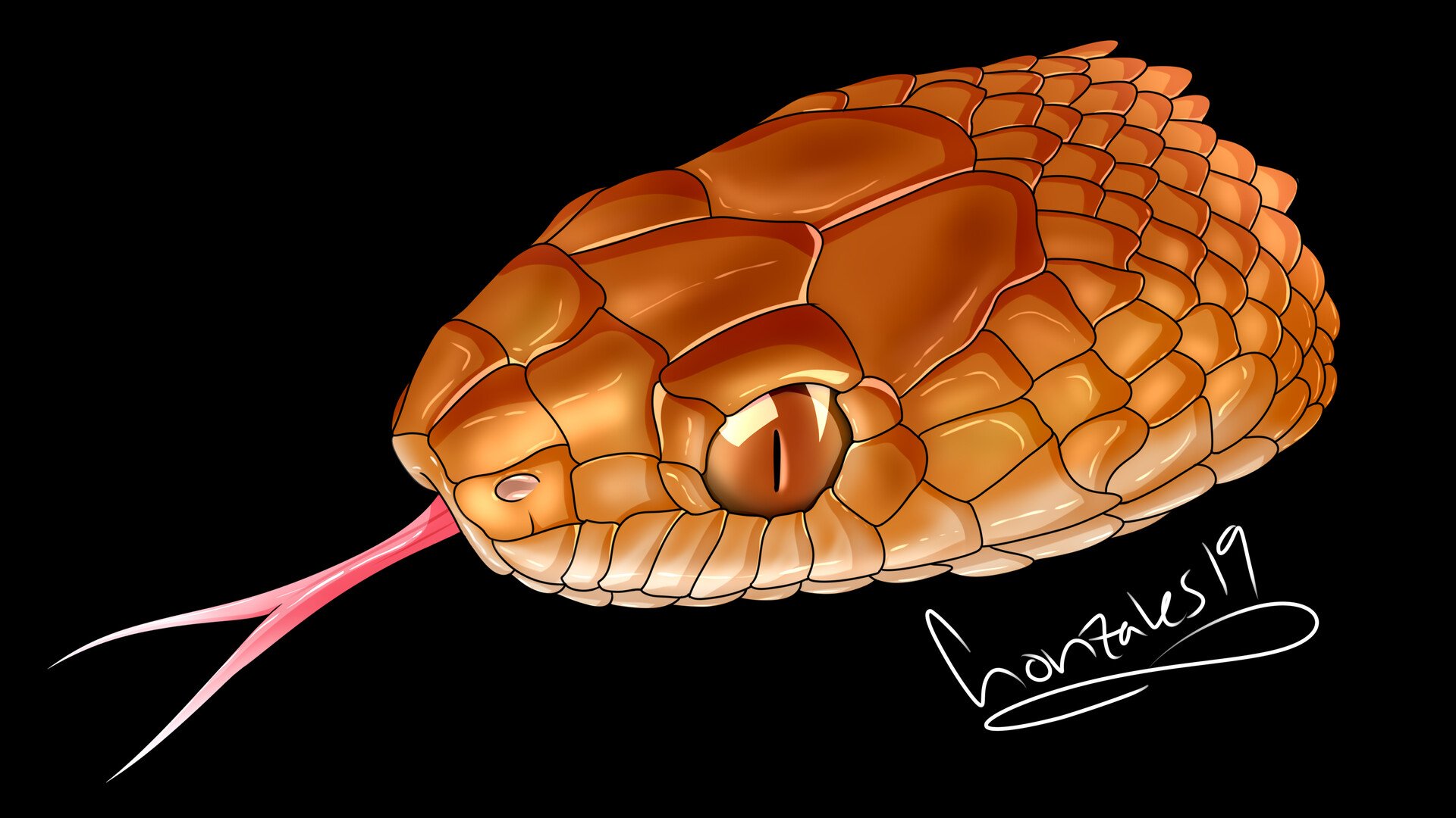 African Snake Drawing