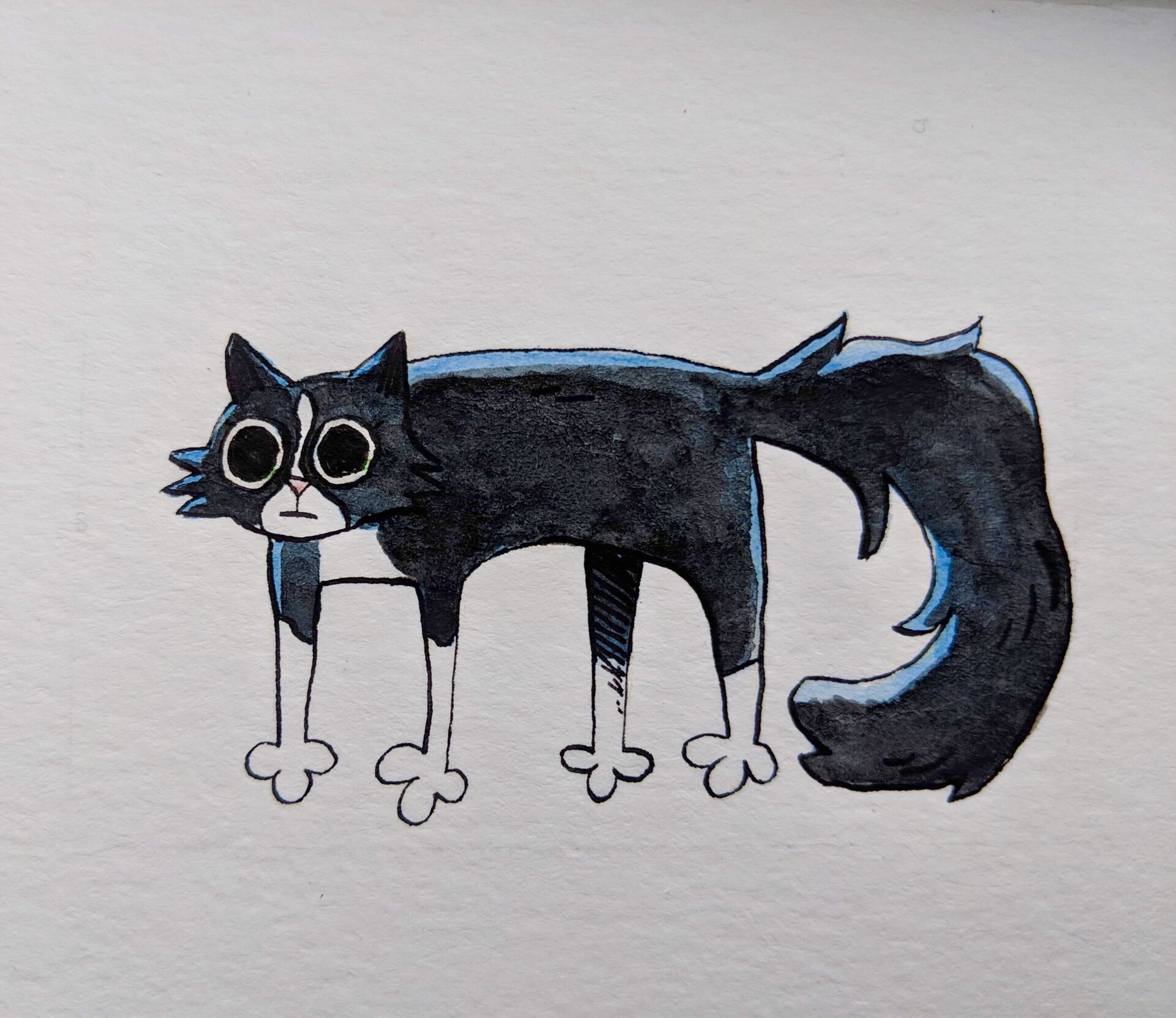 dumb looking cat drawing
