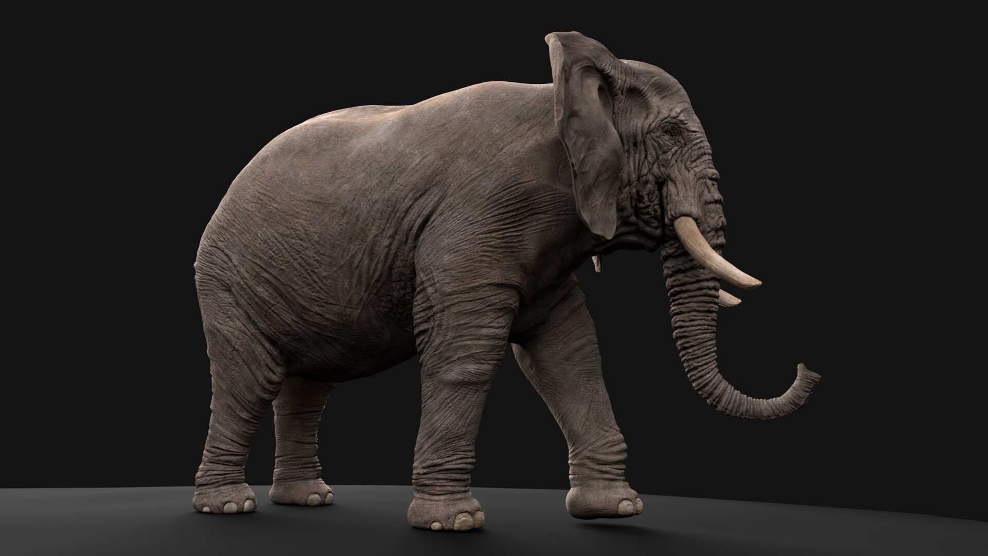 hyung ju yu - elephant lookdev