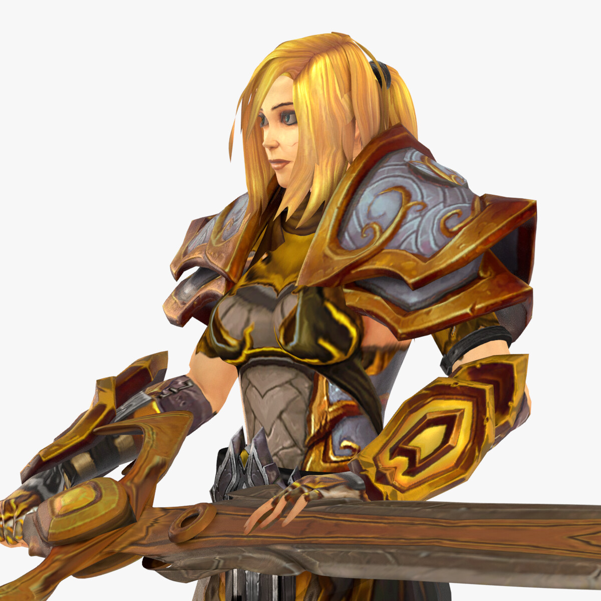 Human Paladin Transmog