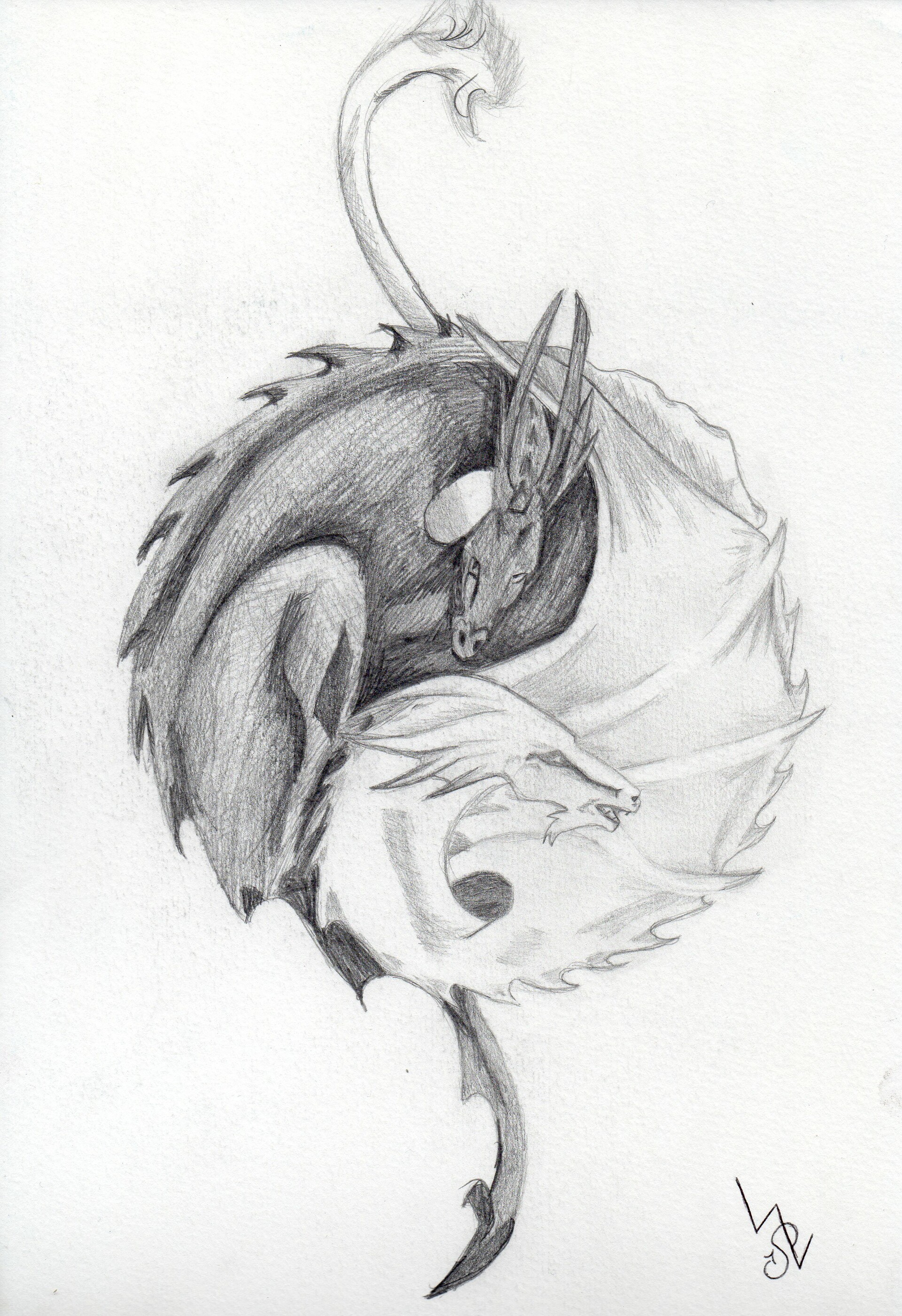 ArtStation - Ying Yang Dragons