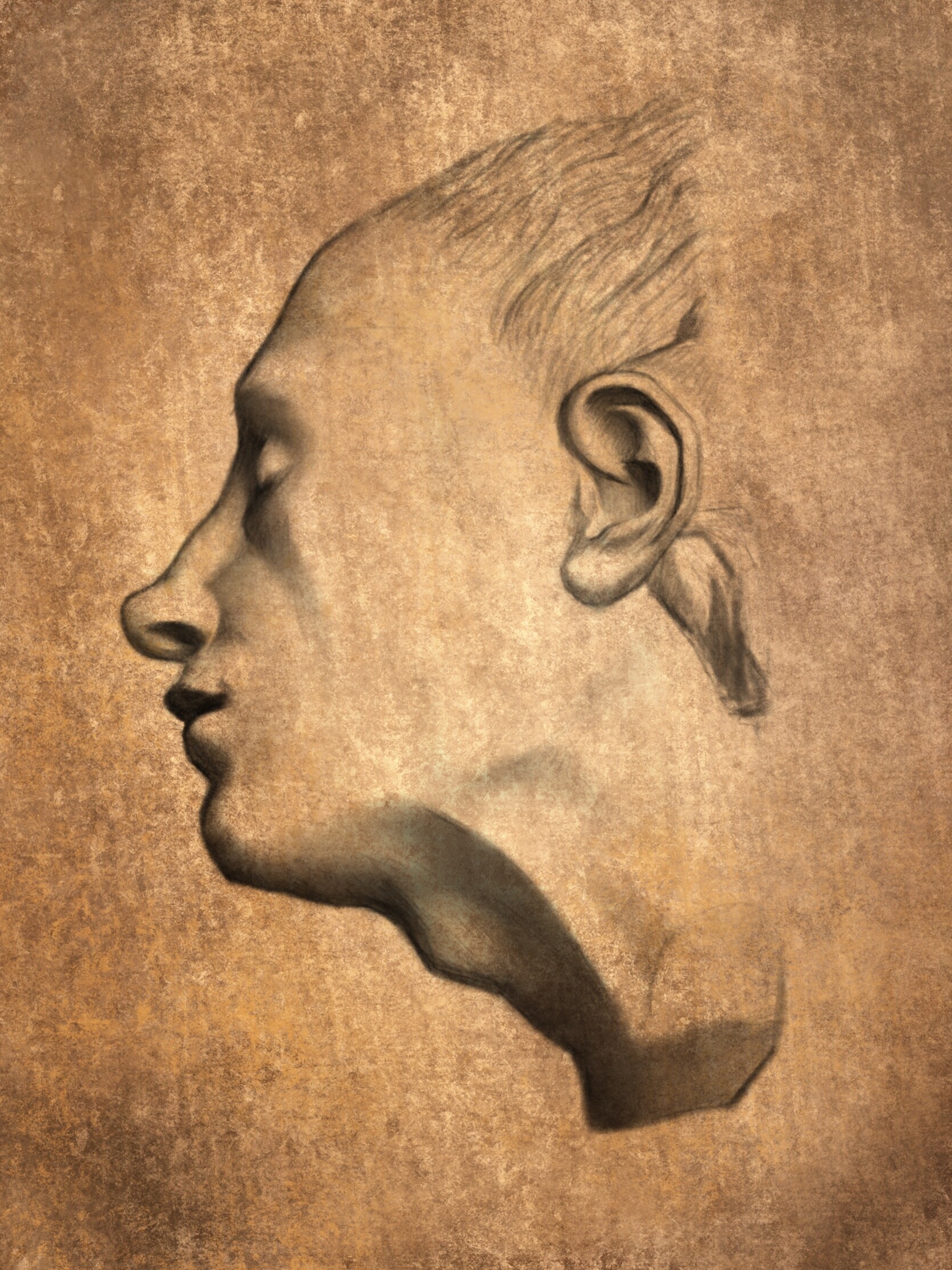 ArtStation - Profile classic