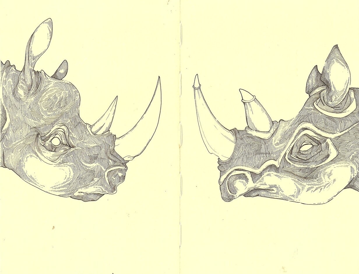 ArtStation - 2 Rhinos