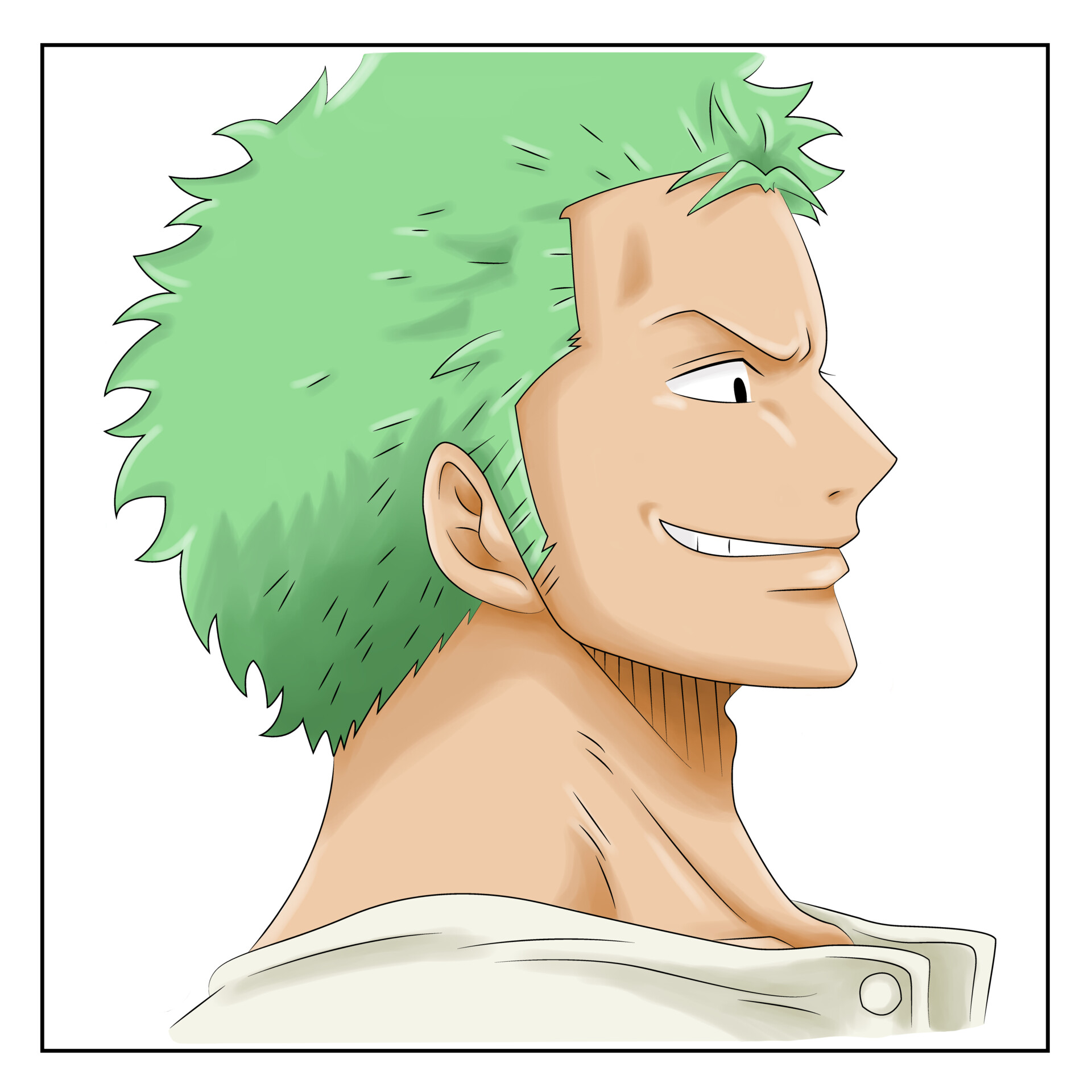 Roronoa Zoro Time Skip