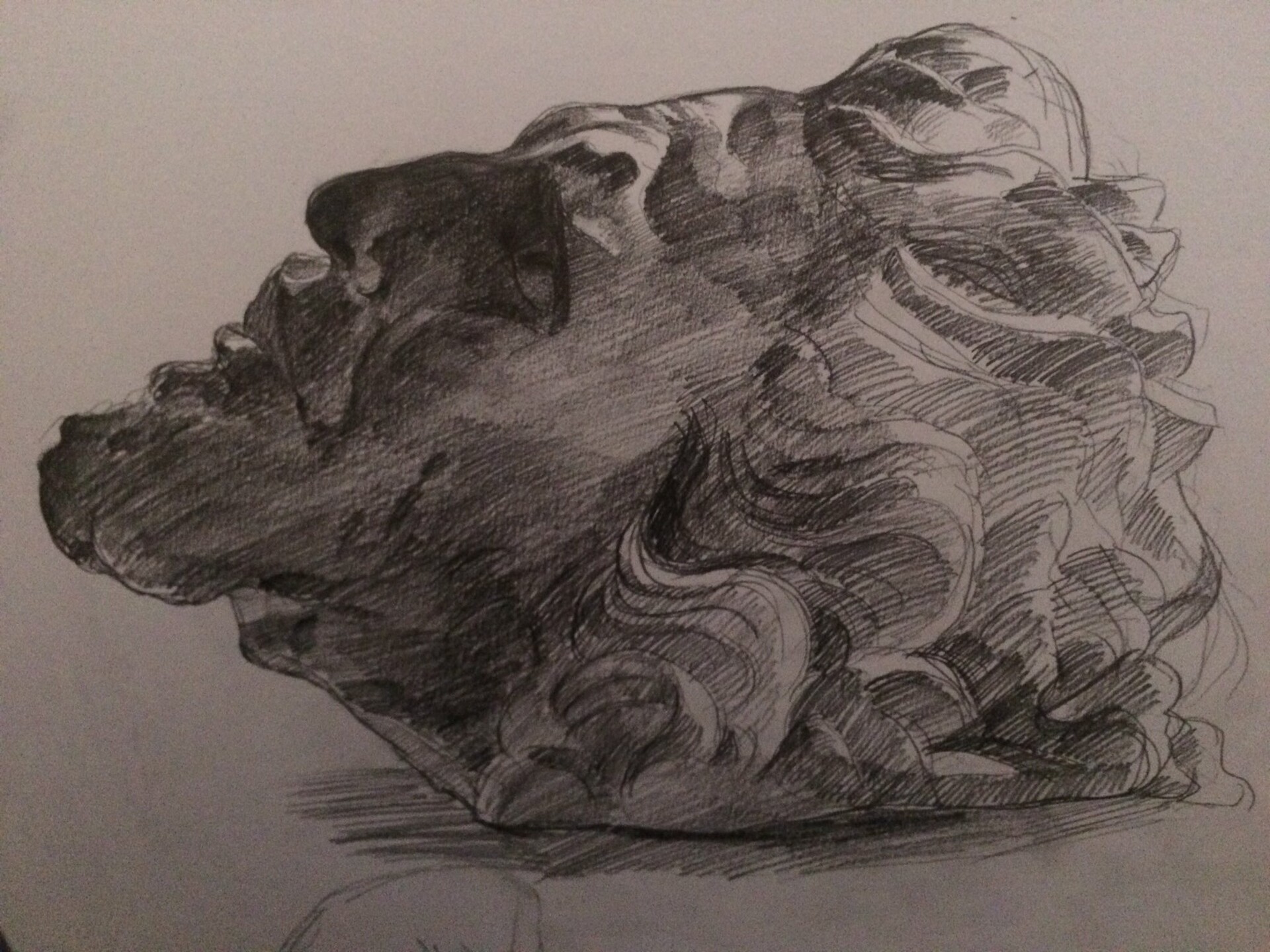 ArtStation - Statue Head