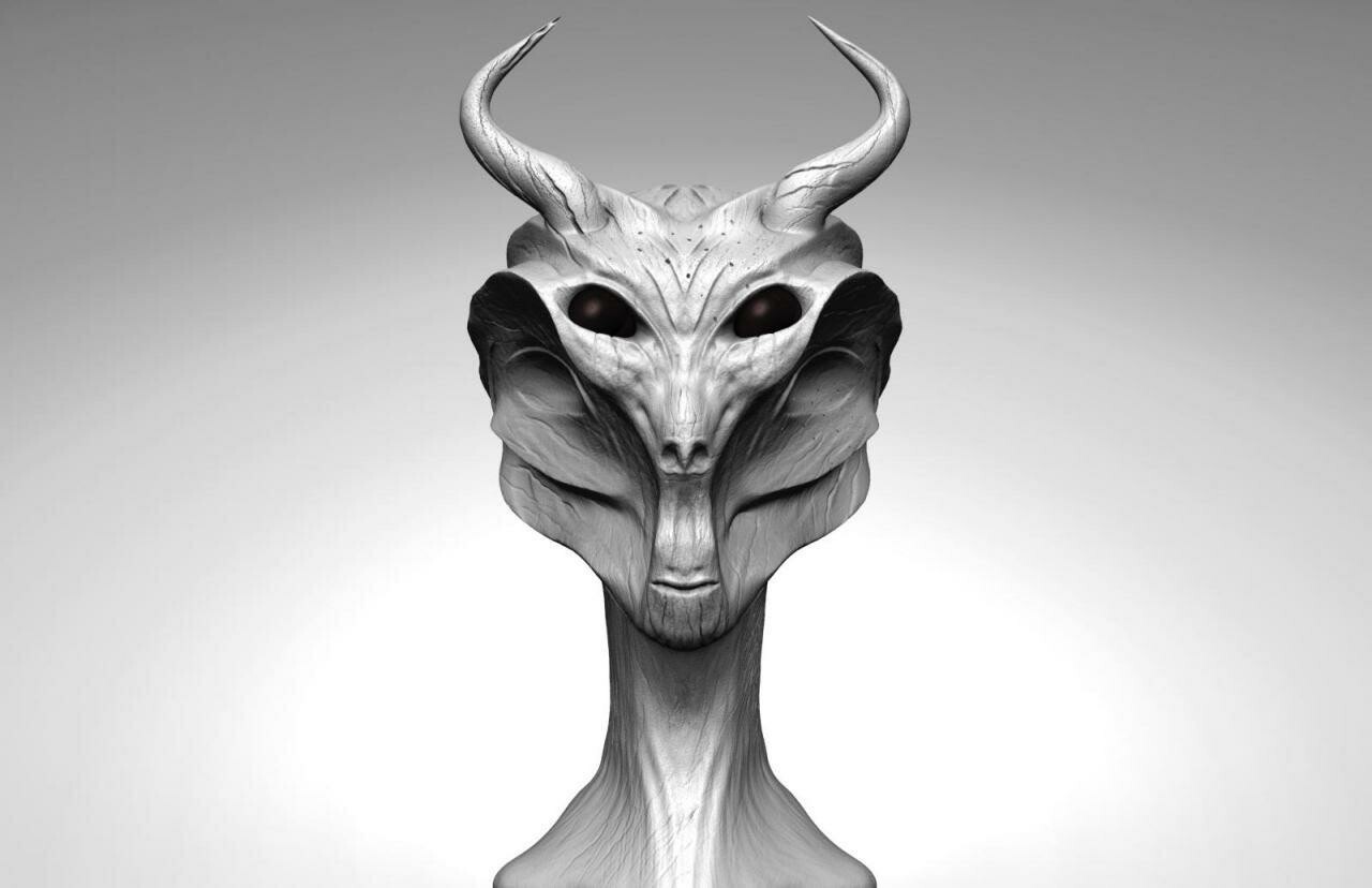 ArtStation - creature study