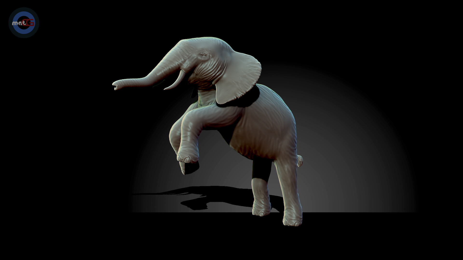 ArtStation - Elephant - Animal Scene Part.1