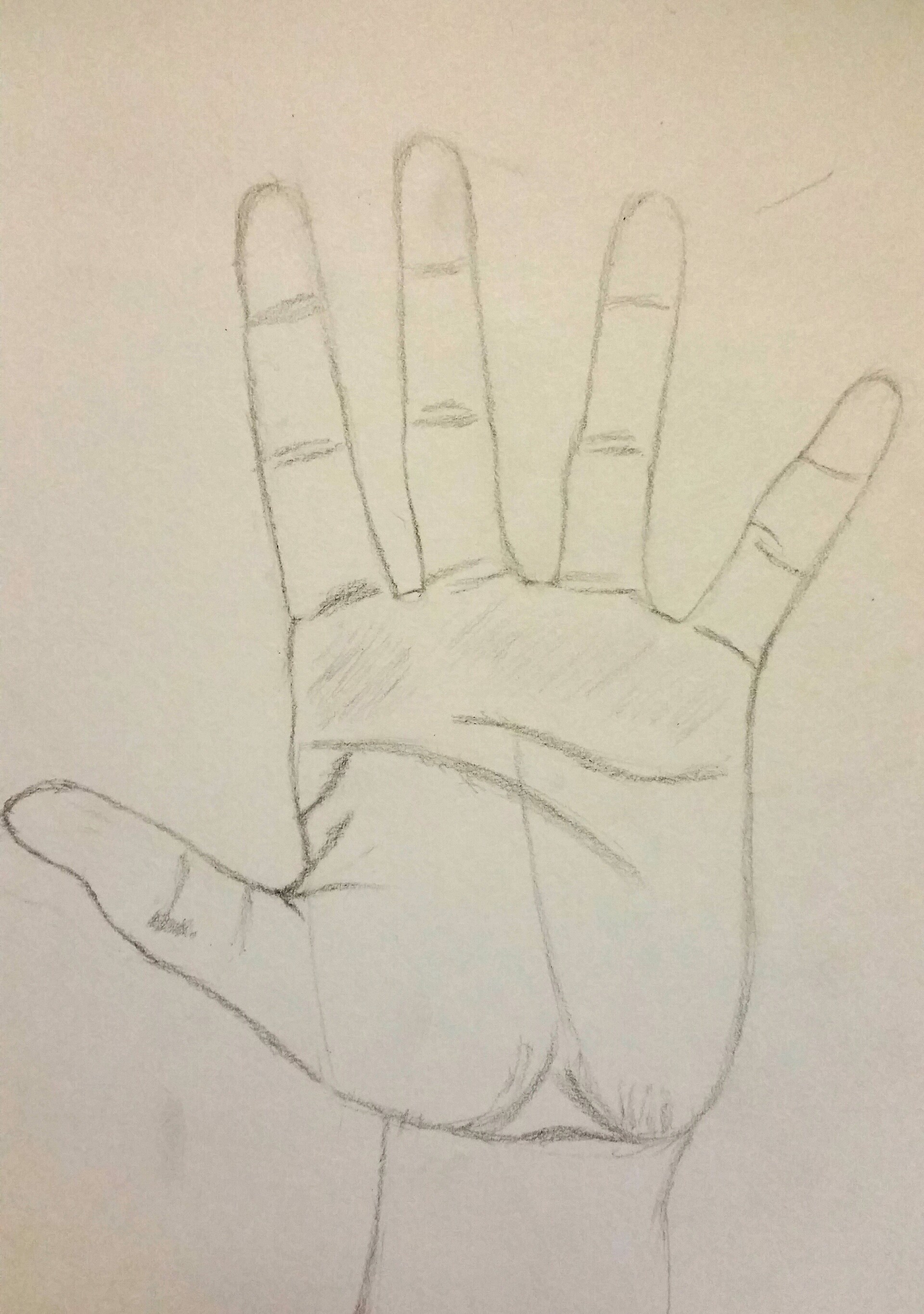 ArtStation - Hand Drawing