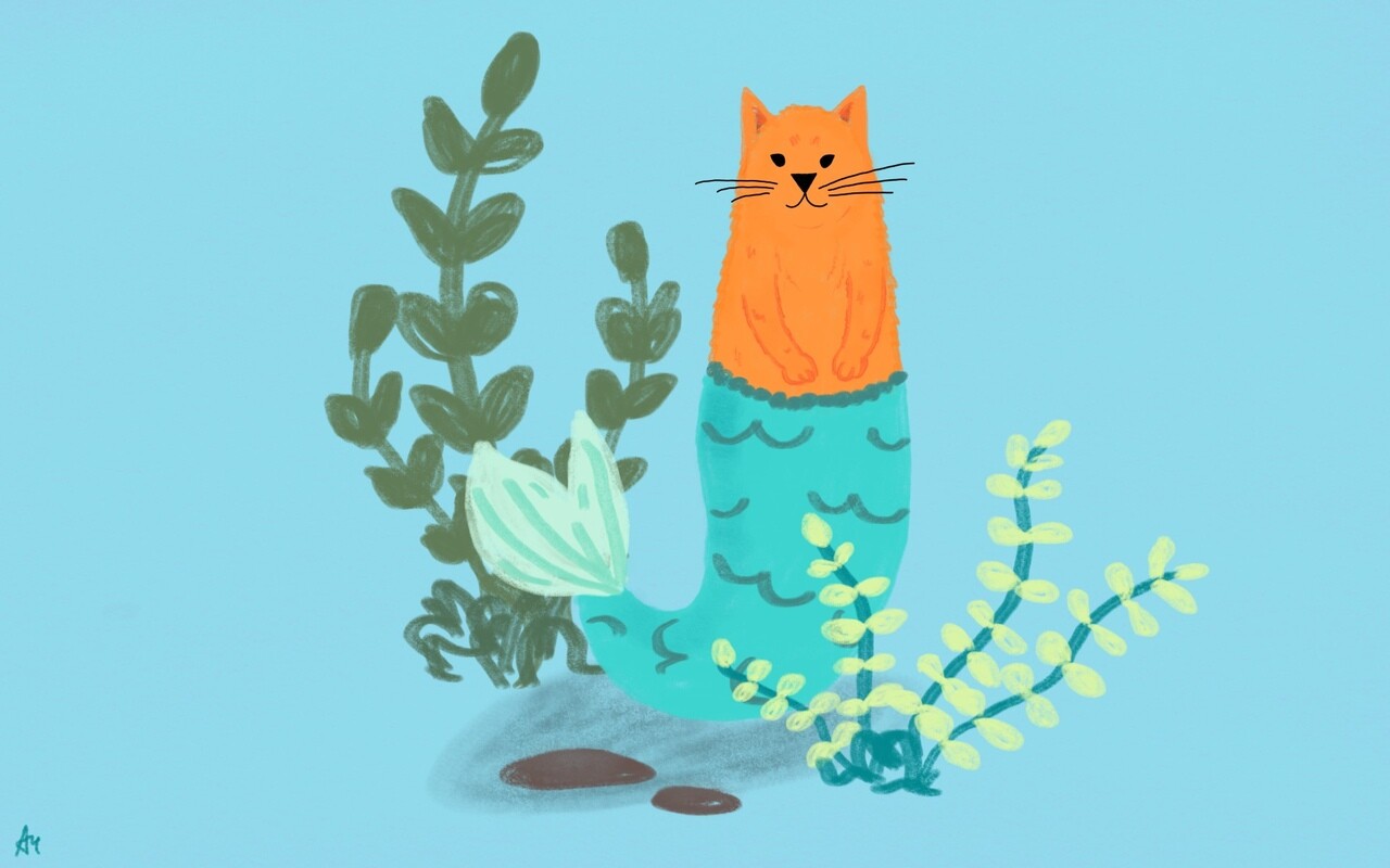 ArtStation - The water cat