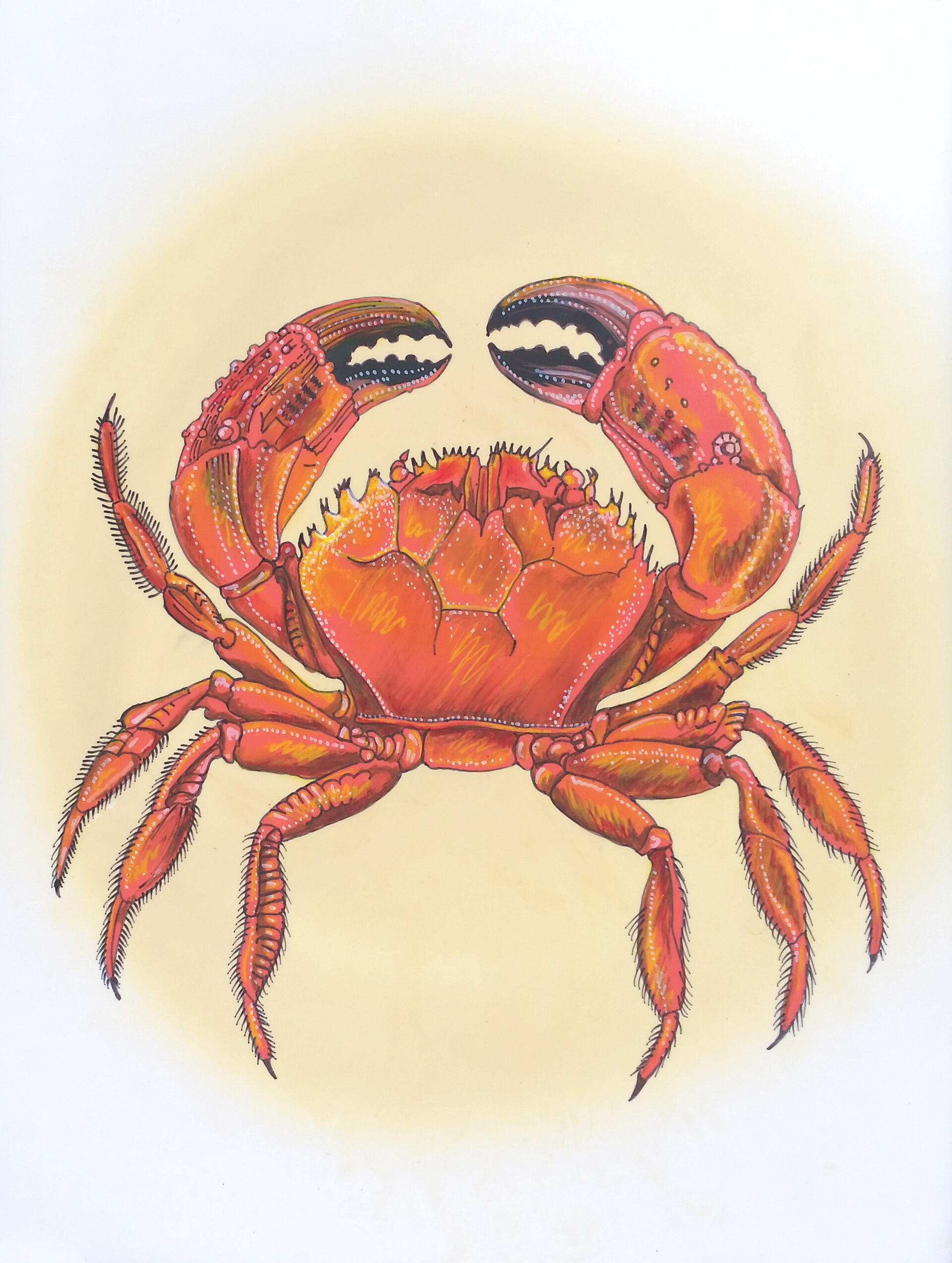 ArtStation The Sign Of The Crab c Bill Yenne ArtStation The Sign Of The Crab c Bill Yenne