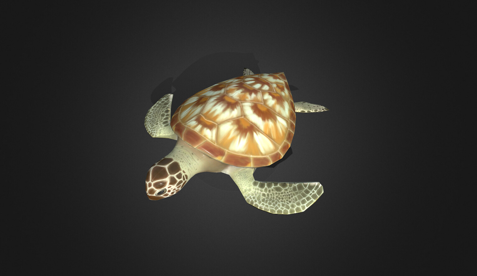 ArtStation - Green Turtle Low Poly