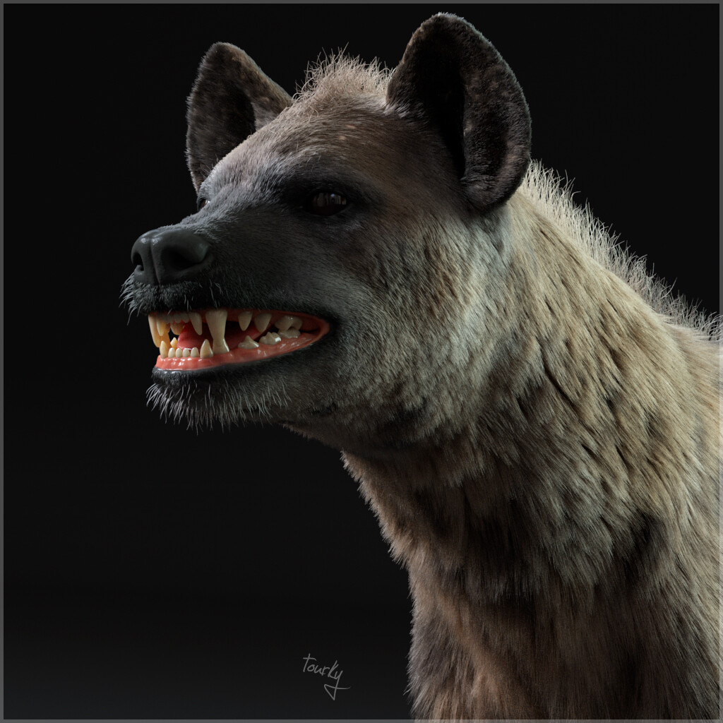 ArtStation - 3D Hyena For Production 01