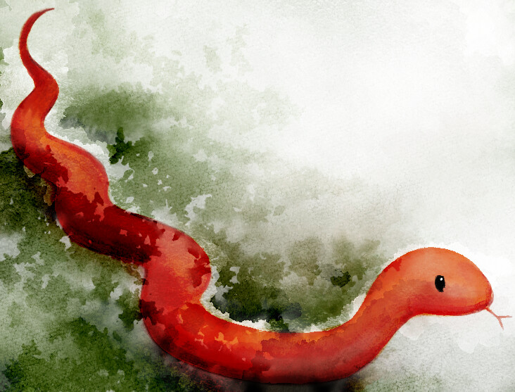 ArtStation - not a real snake