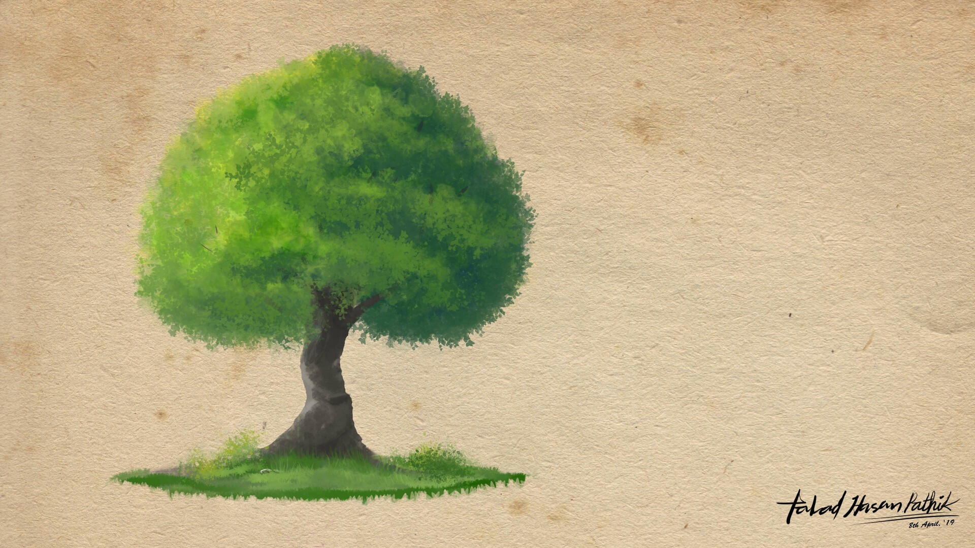 ArtStation - Tree Study with Krita