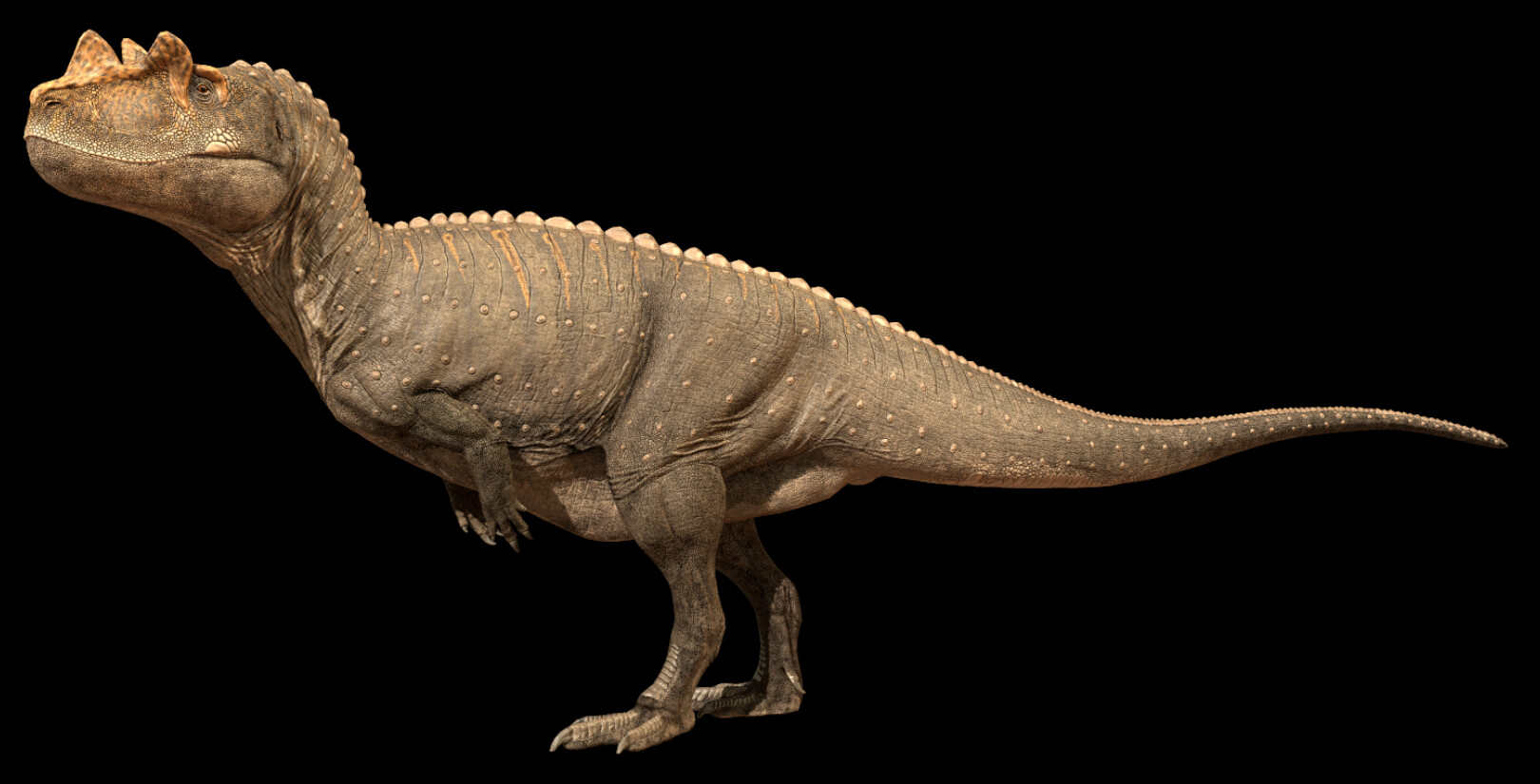 ArtStation - Ceratosaurus ArtStation - Ceratosaurus