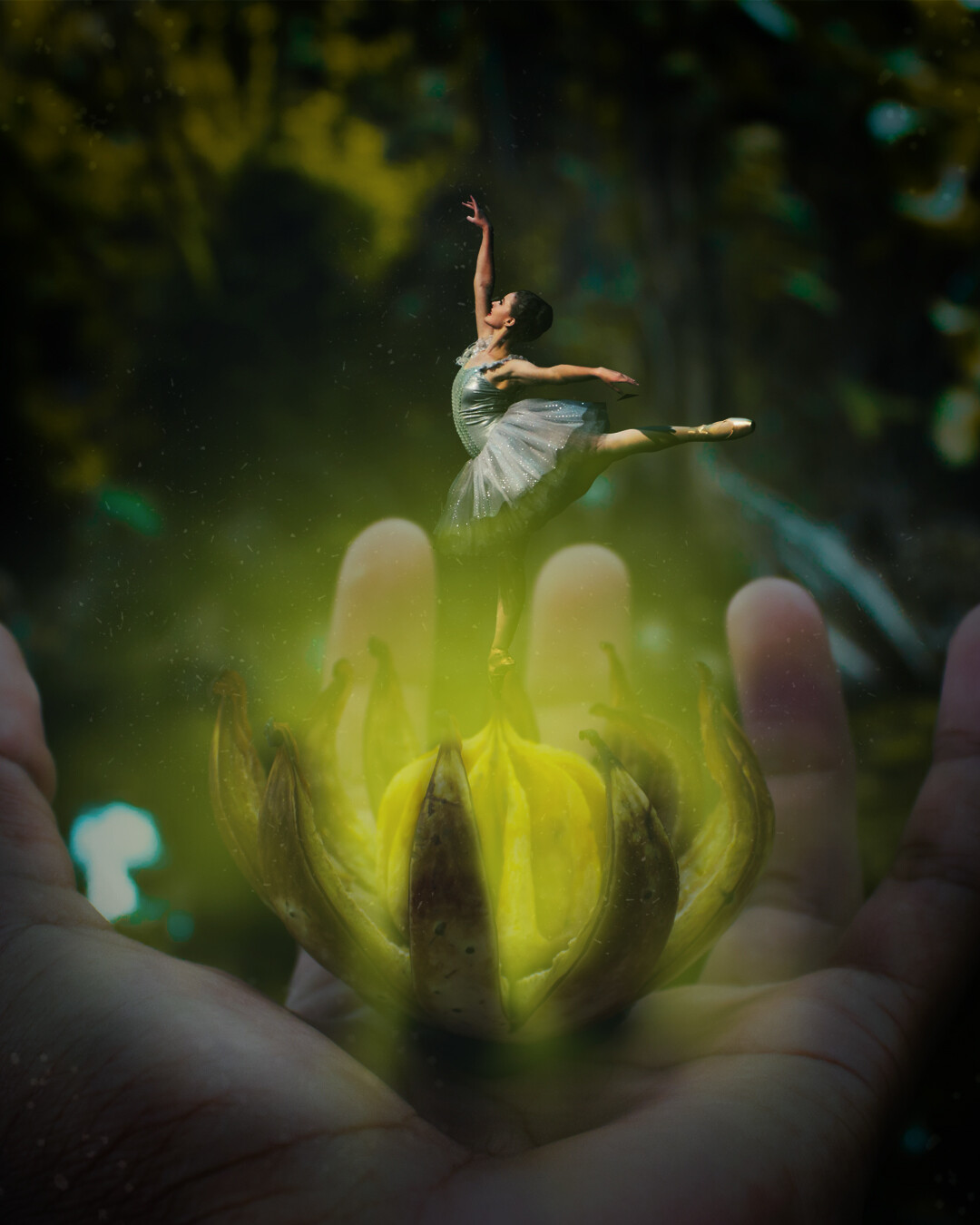 ArtStation - The dance of nature